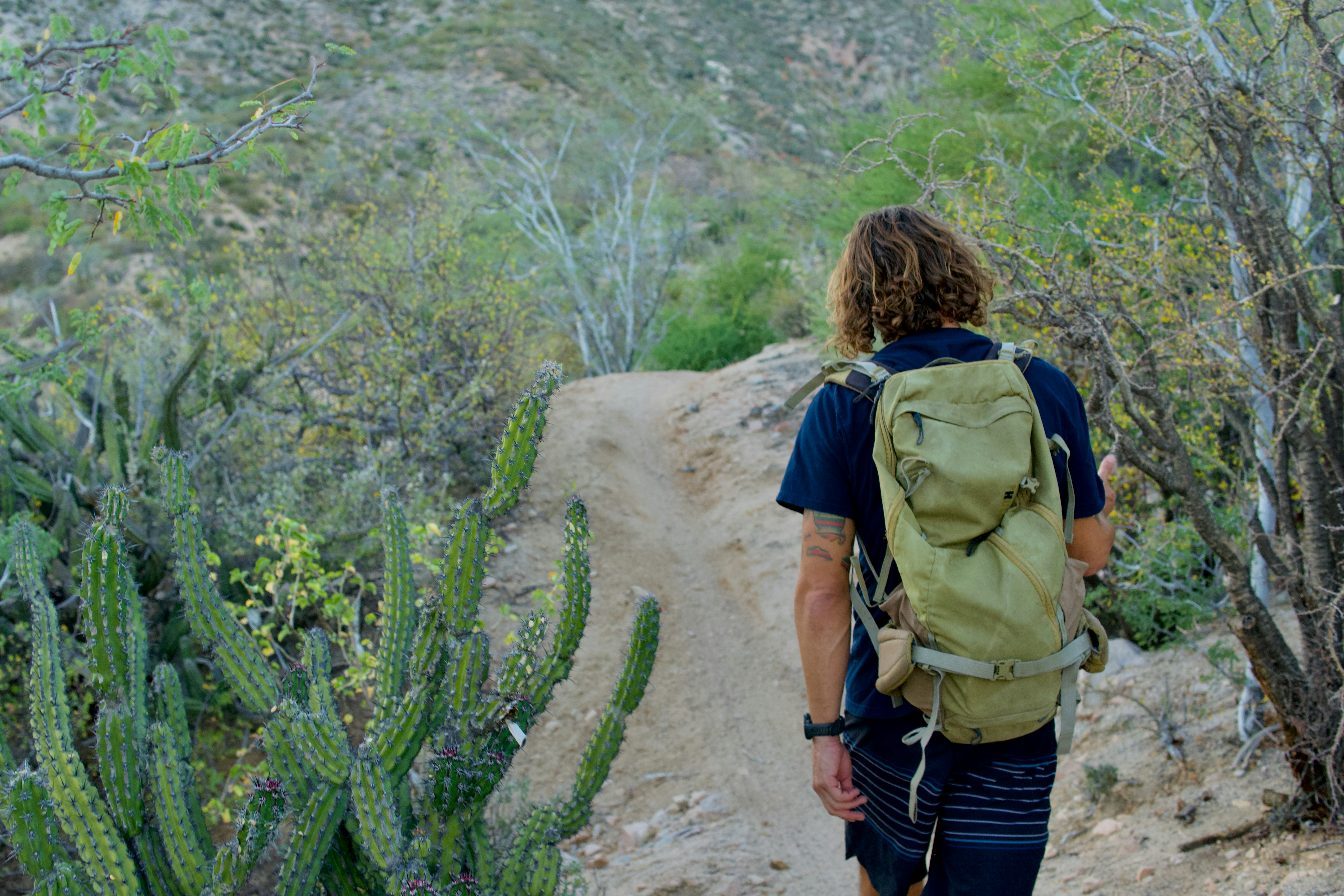 Trailbound: A Wanderer with a Backpack Steps Into the Deserted Path