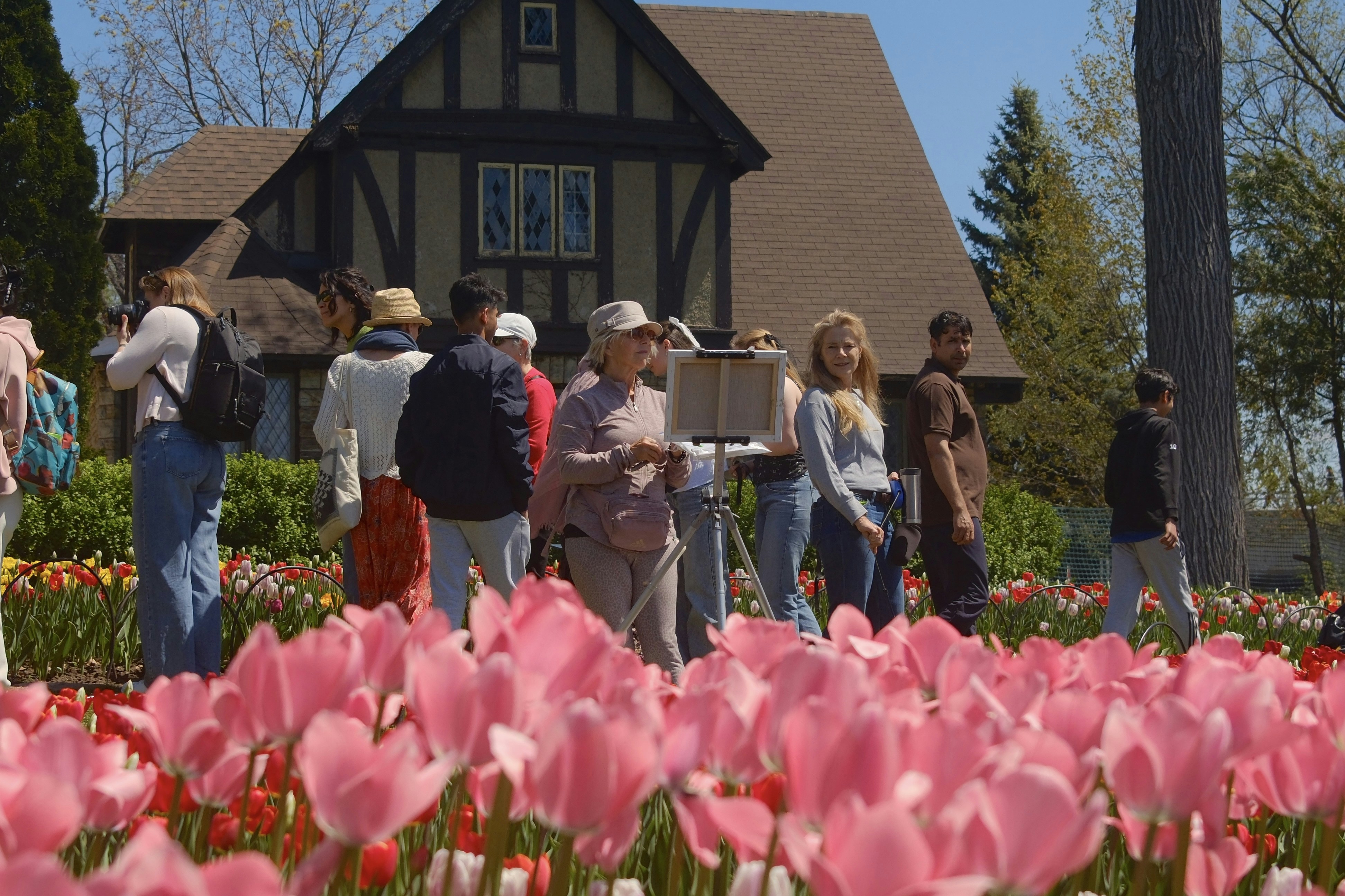 Tulip Field Portrait: A Crowd at the Garden Gate
