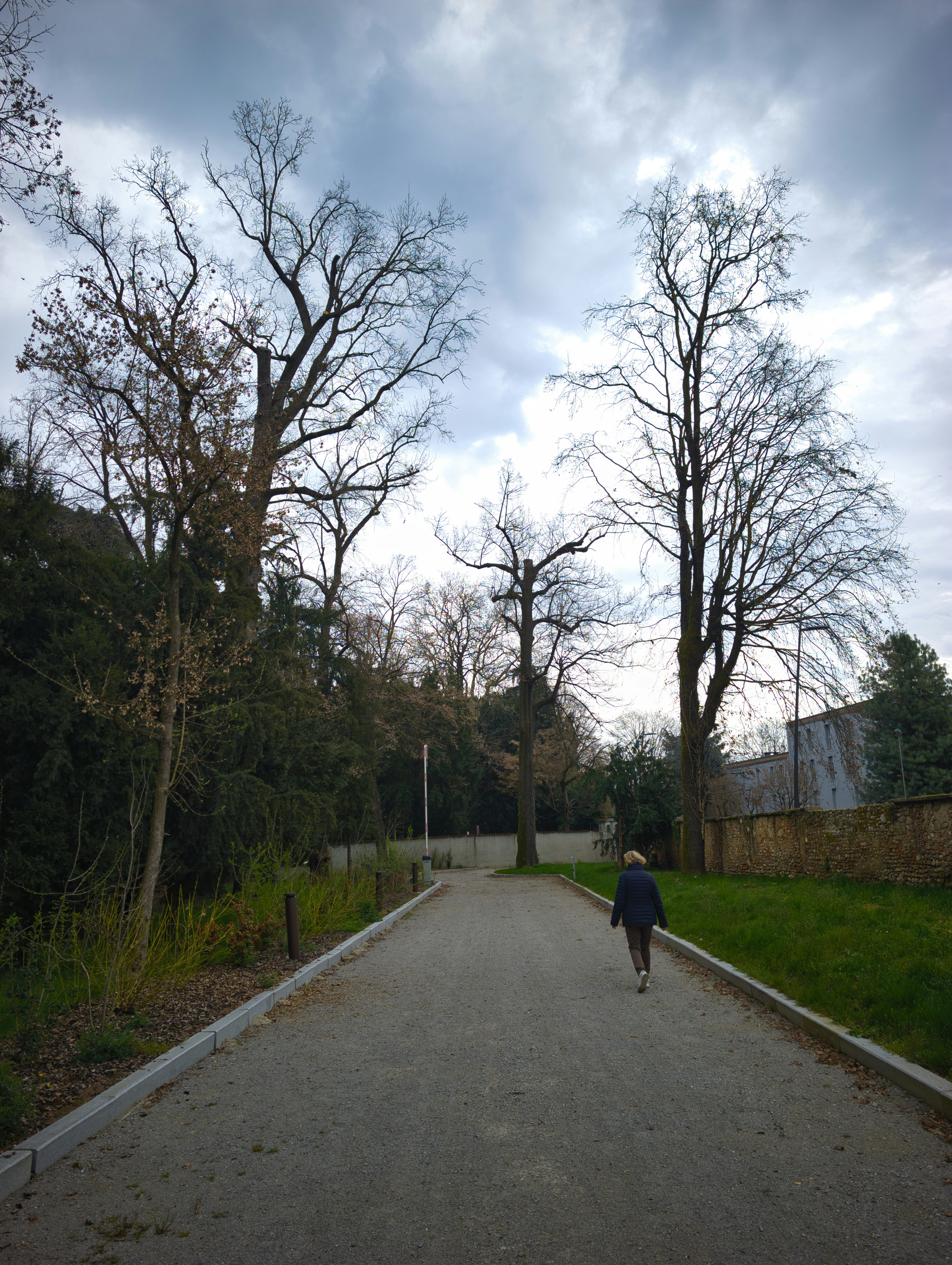 Path to Quiet Distant Steps