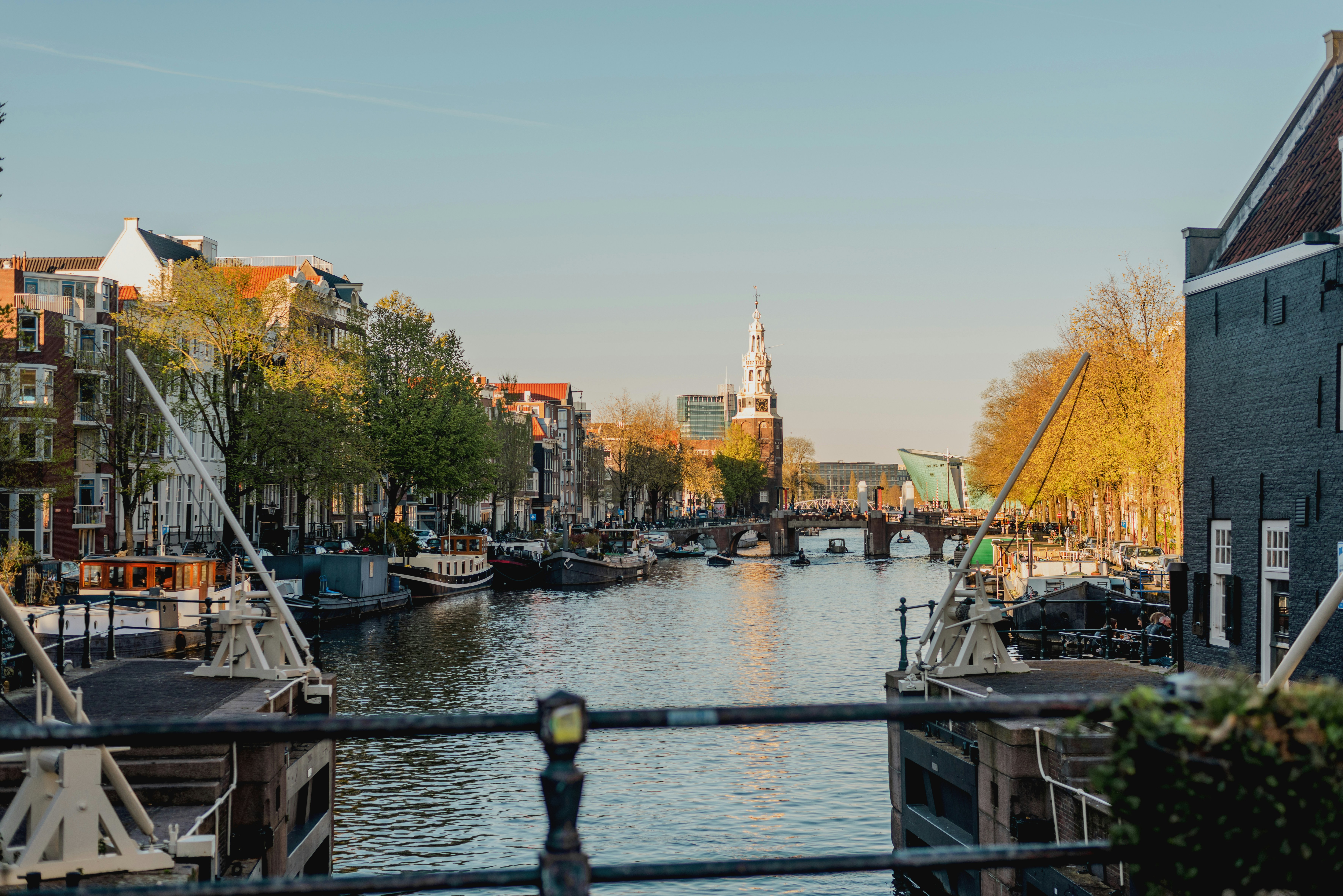 Sunlit Canalfront with Swans and Historic Clock Tower