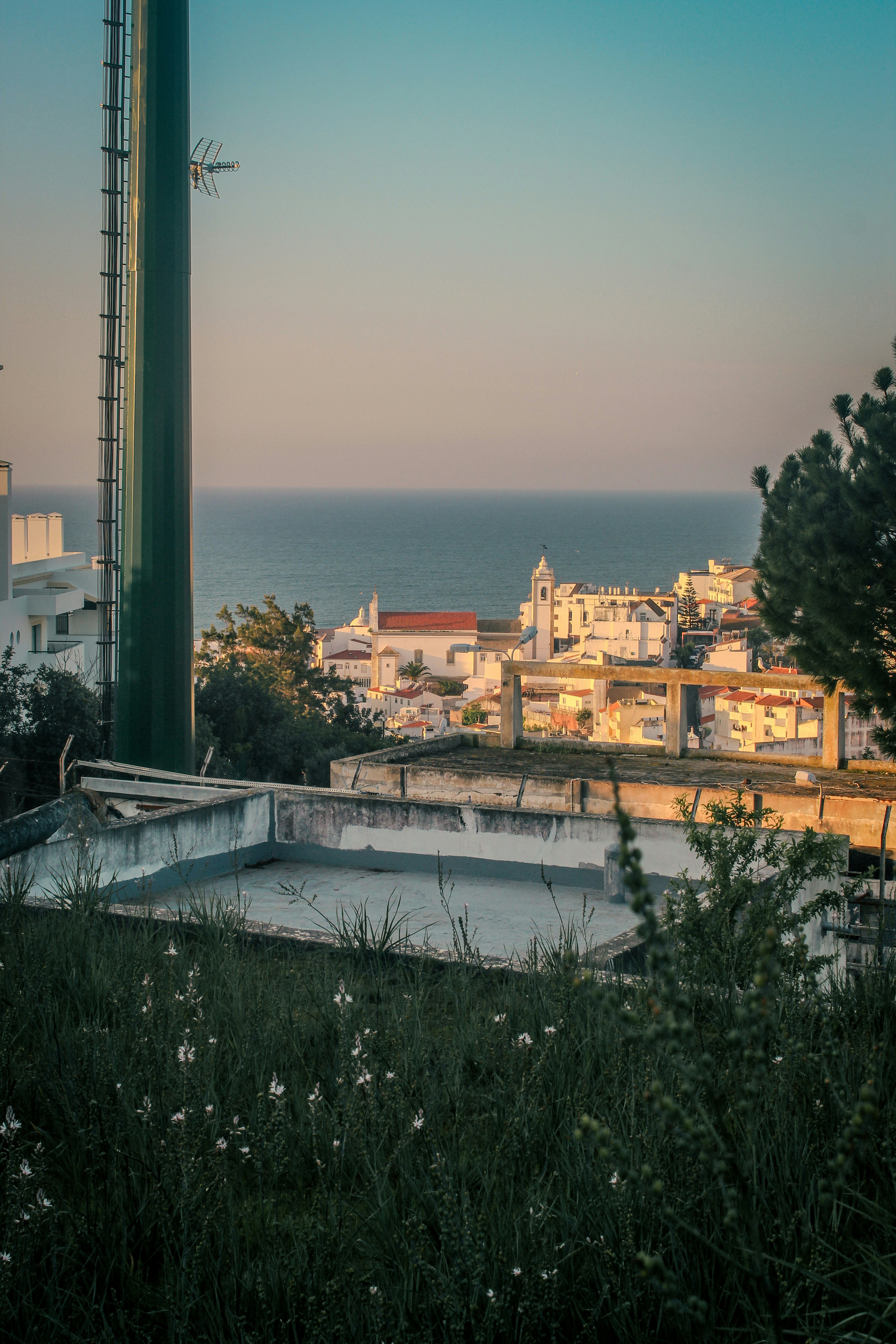 Rooftop Garden Framing a Coastal Town at Sunset