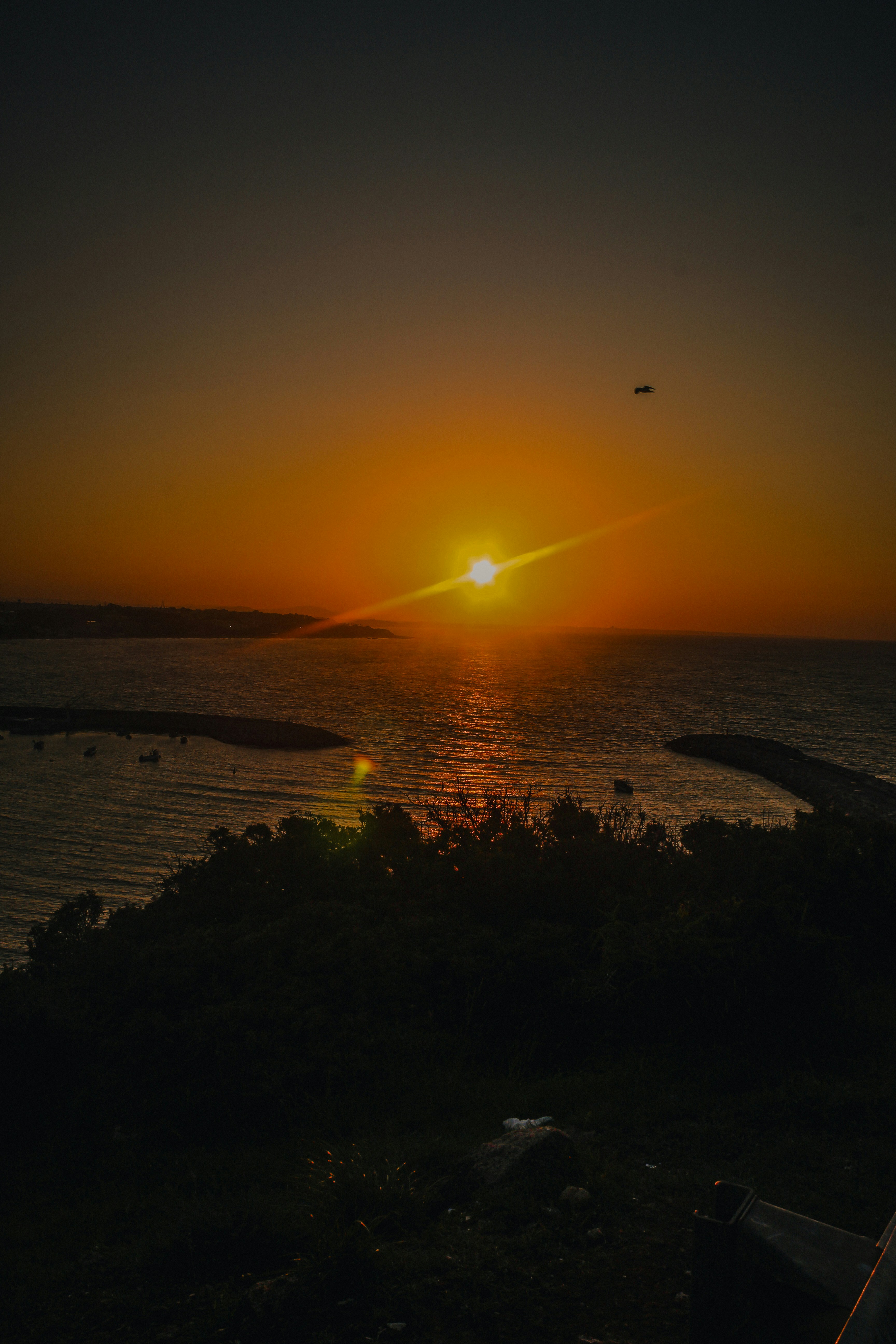 Sunset Over Quiet Waters: A Seascape Framed at Dusk