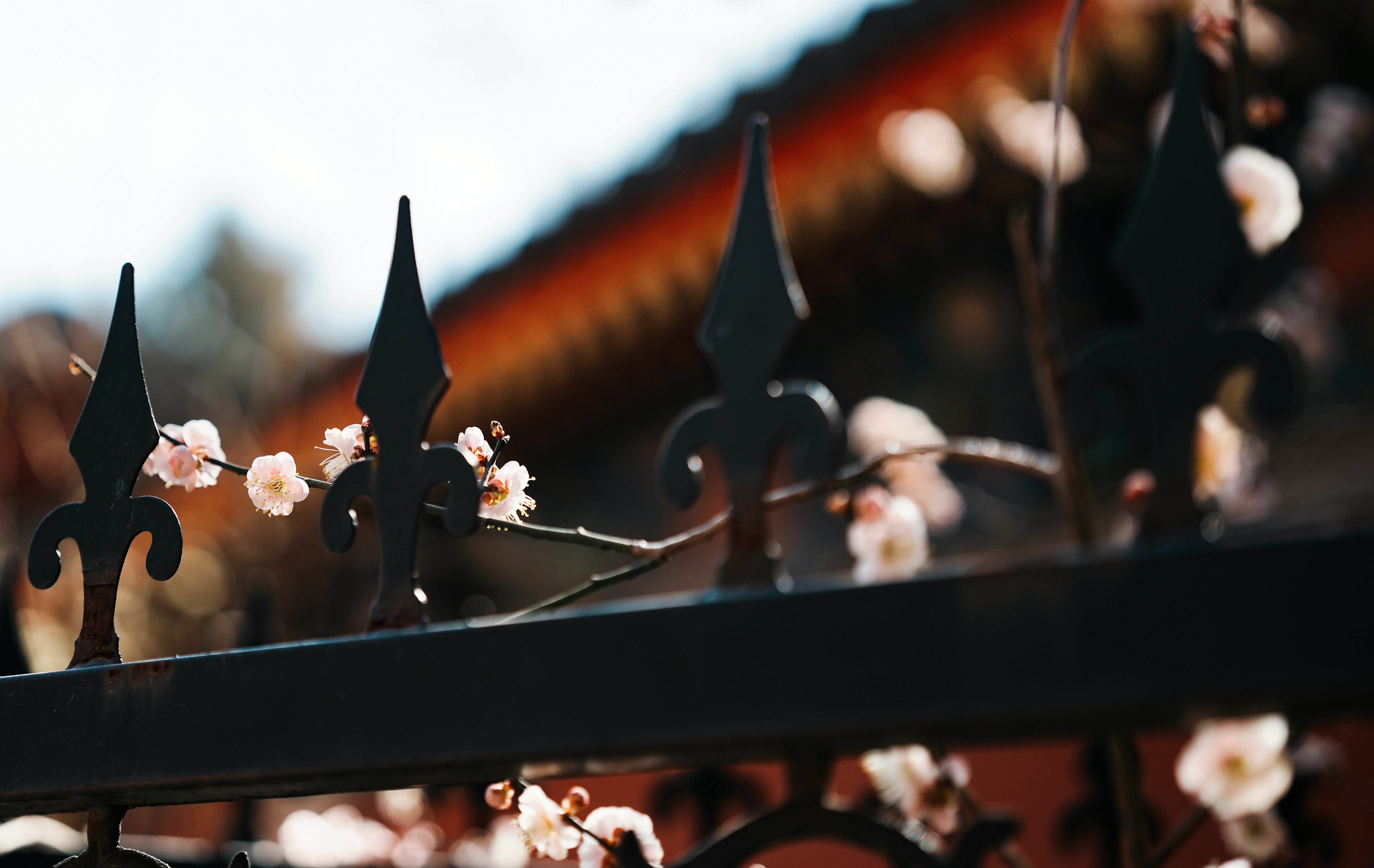 Floral lattice over ironwork: blossoms against a blurred temple roof