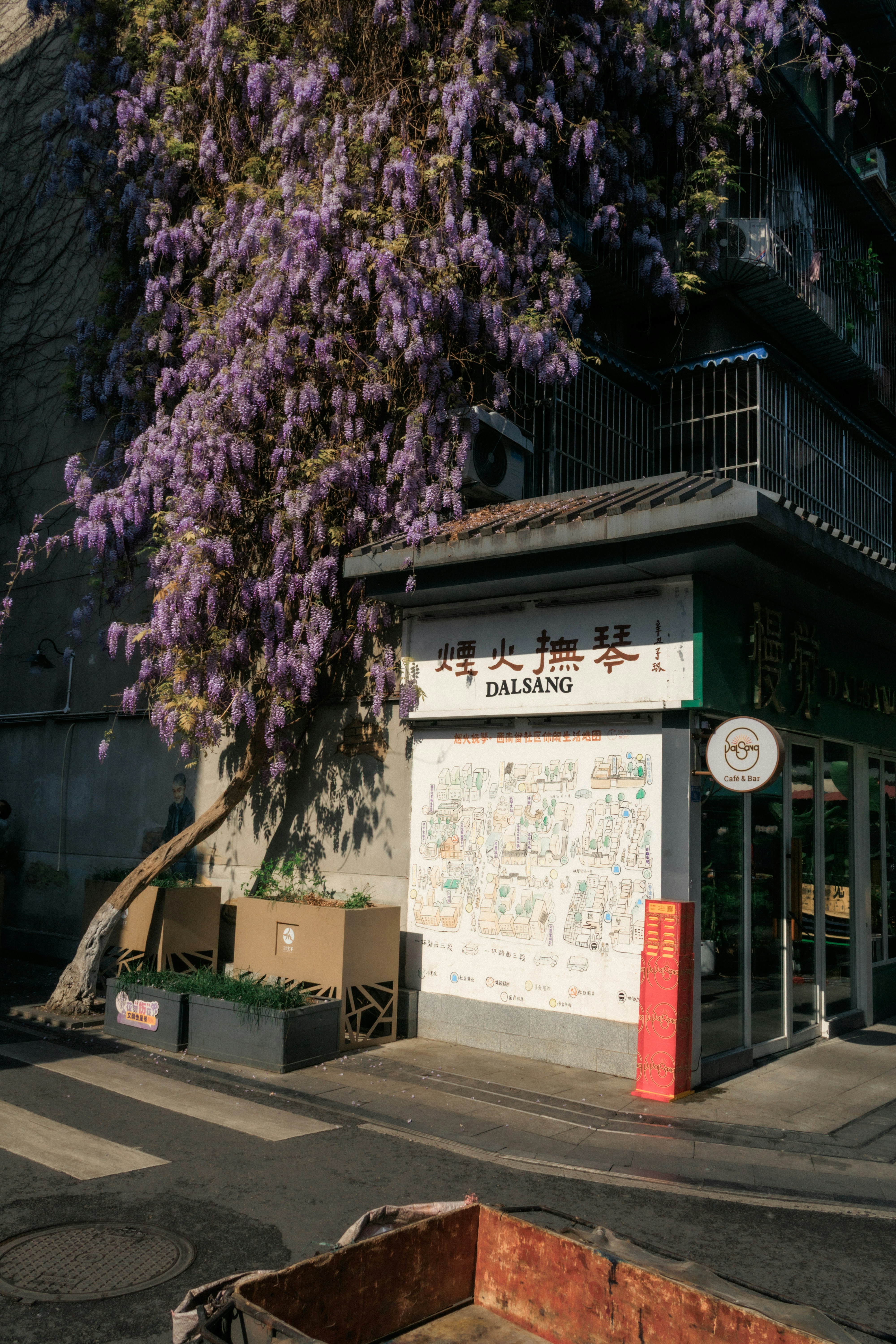 Lilac Cascade at a Street Corner Sign