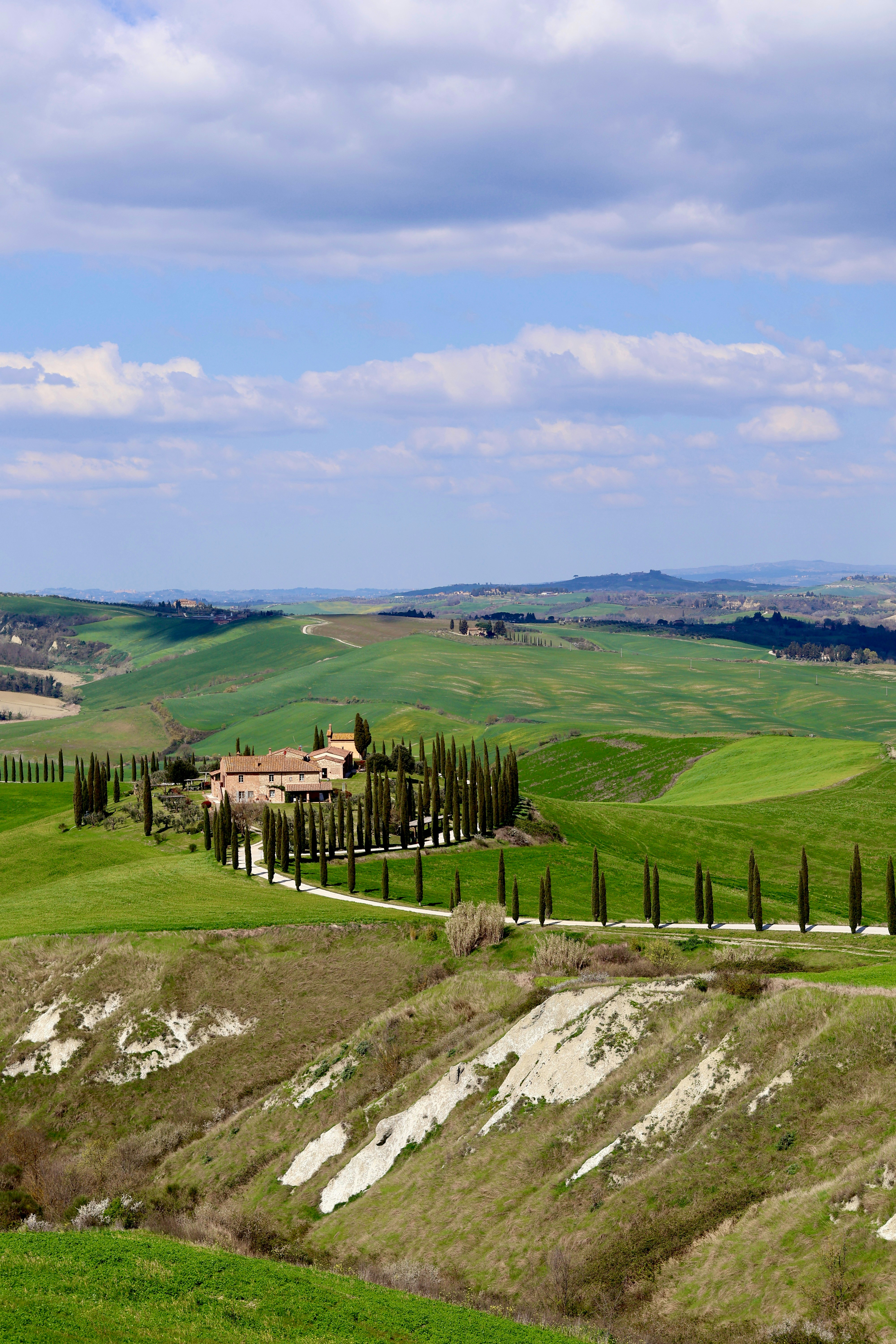 Cypress-lined Drive through the Tuscan Hills