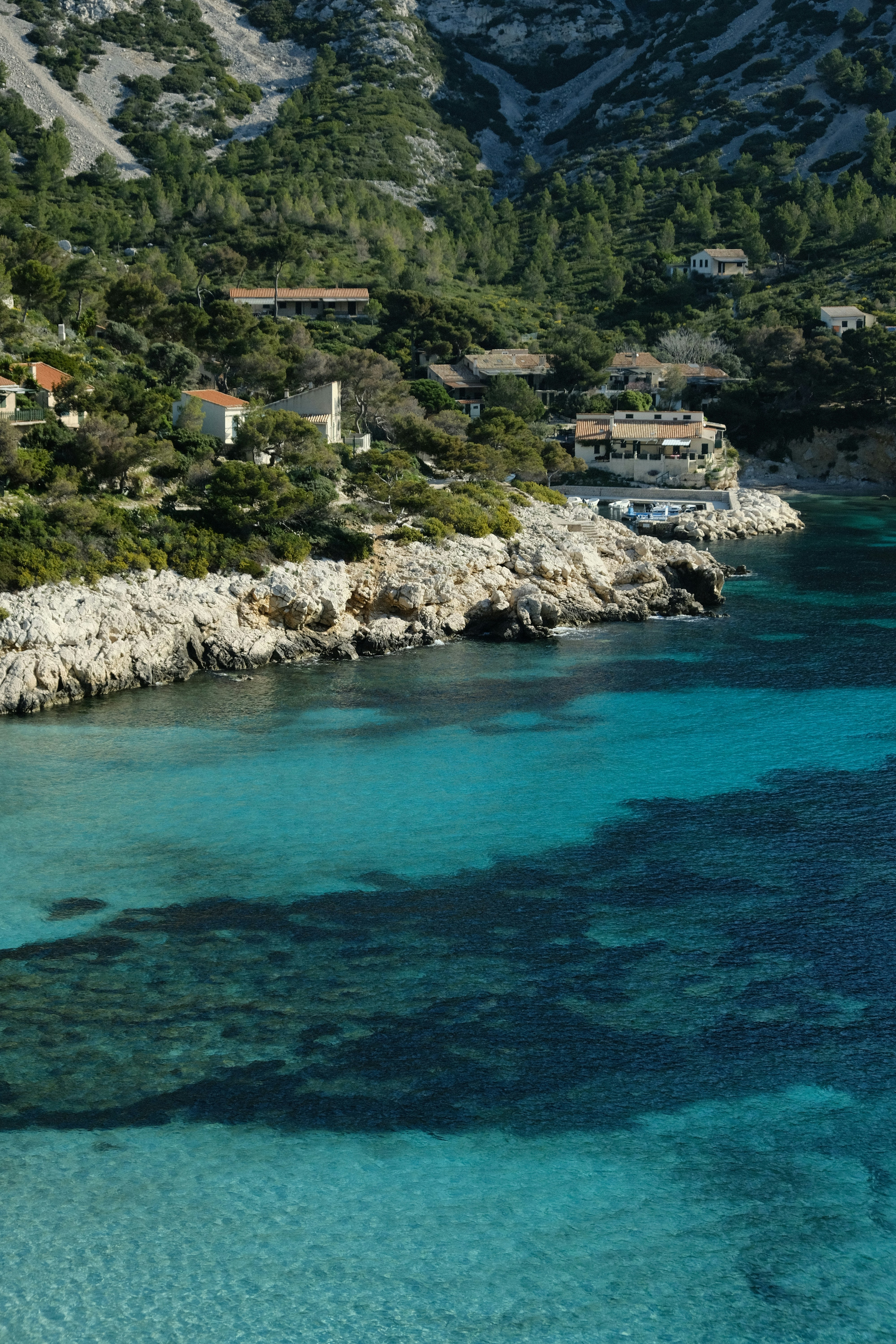 Turquoise Coastline: Sunlit Rocks, Pines, and Quiet Villas