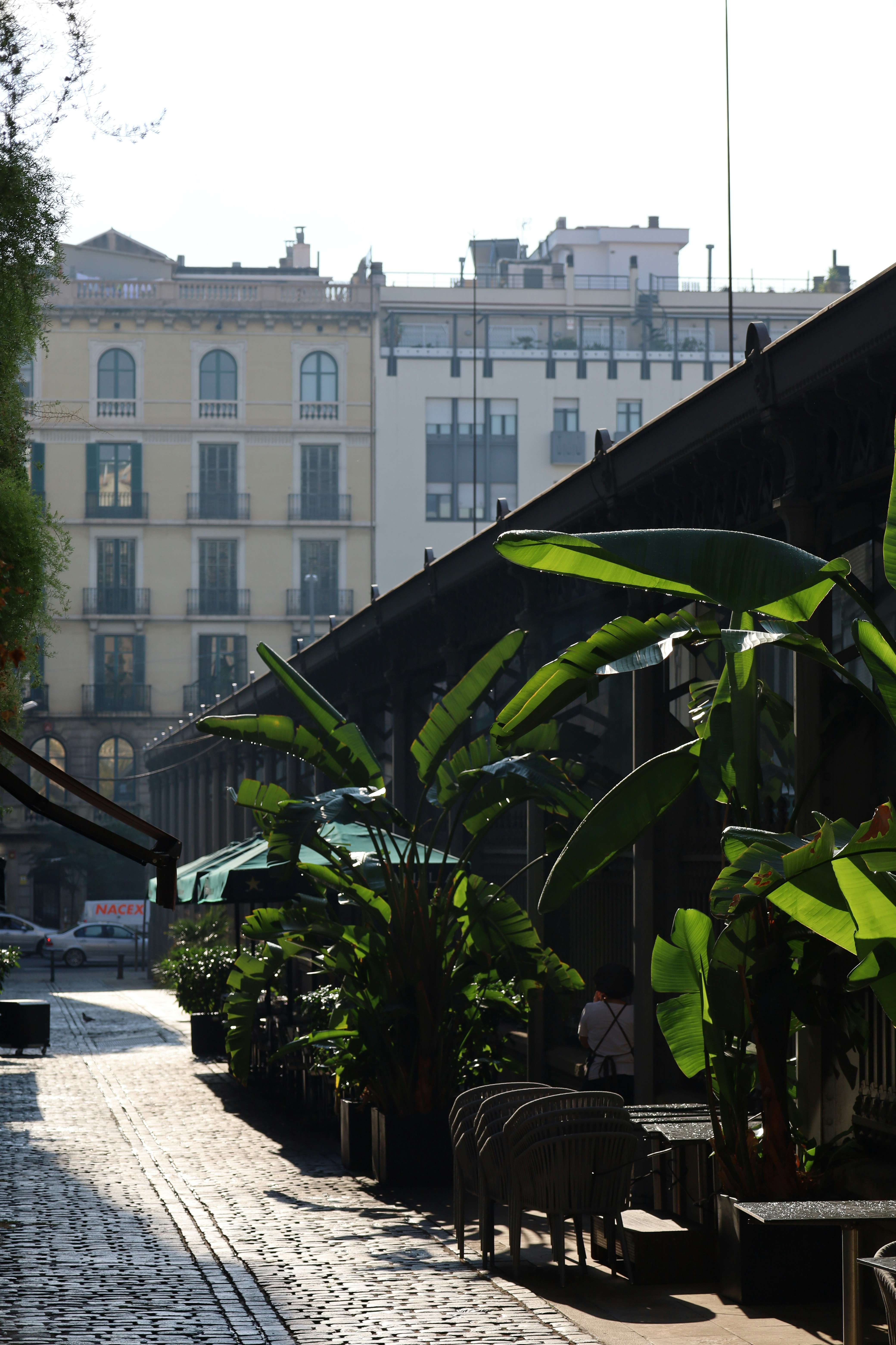 Urban courtyard vista with leafy café ambiance and historic buildings