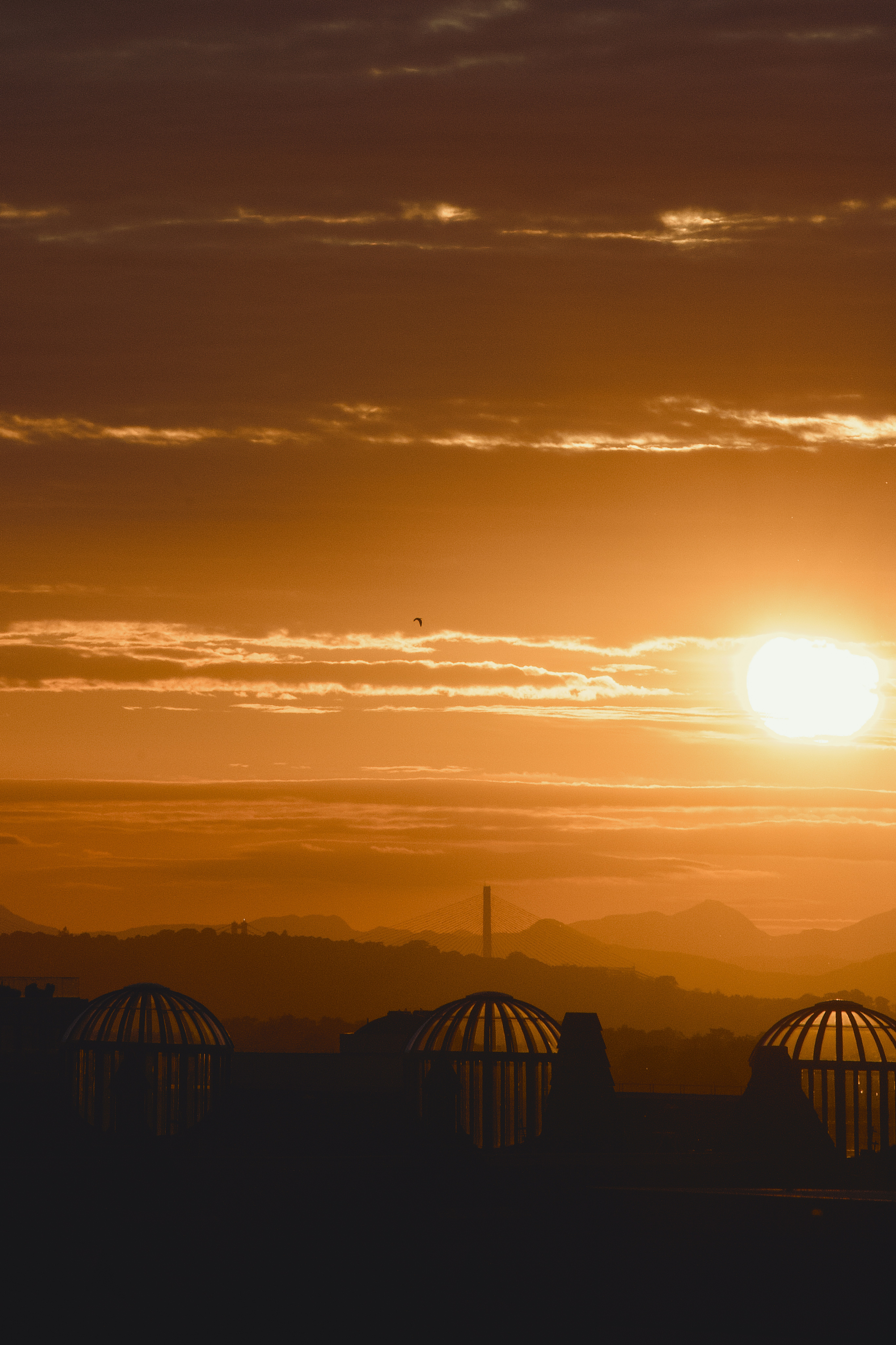 Solar Terrace at Dusk: Silhouettes Meet a Gilded Horizon