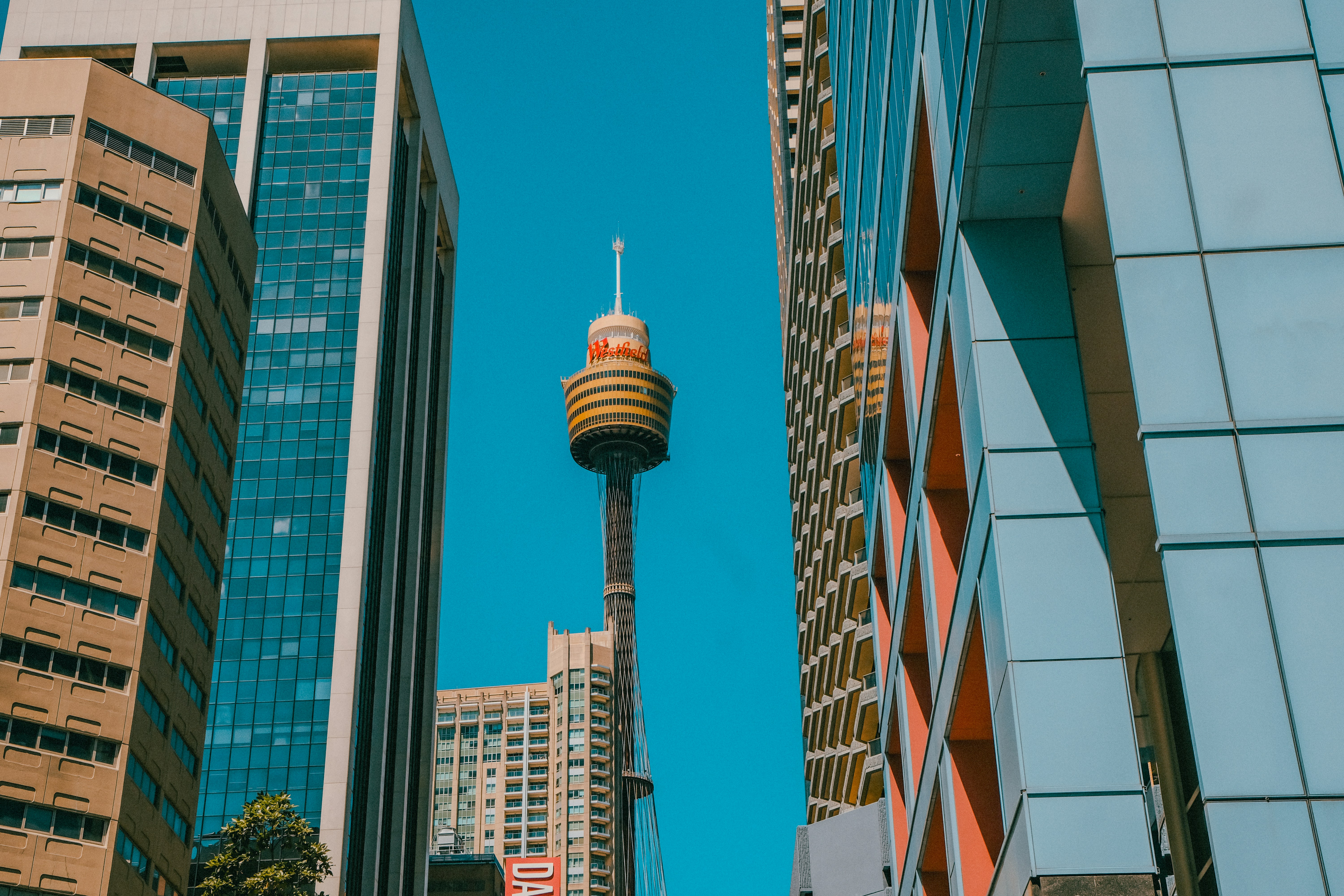 City Needle: A Towering Conversation Between Sky and Skyline
