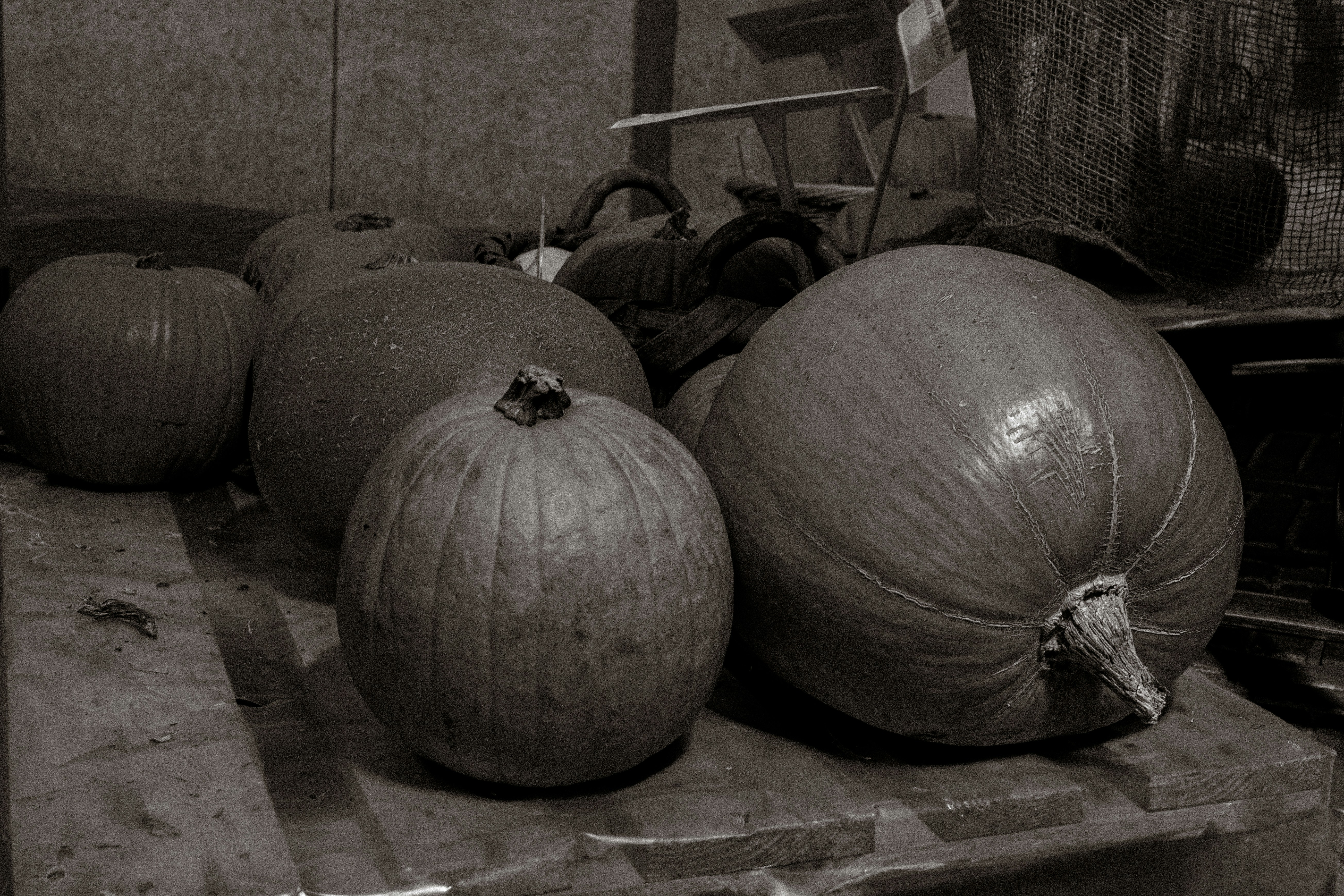 Pumpkins in Sepia: Quiet Harvest on a Wooden Platform