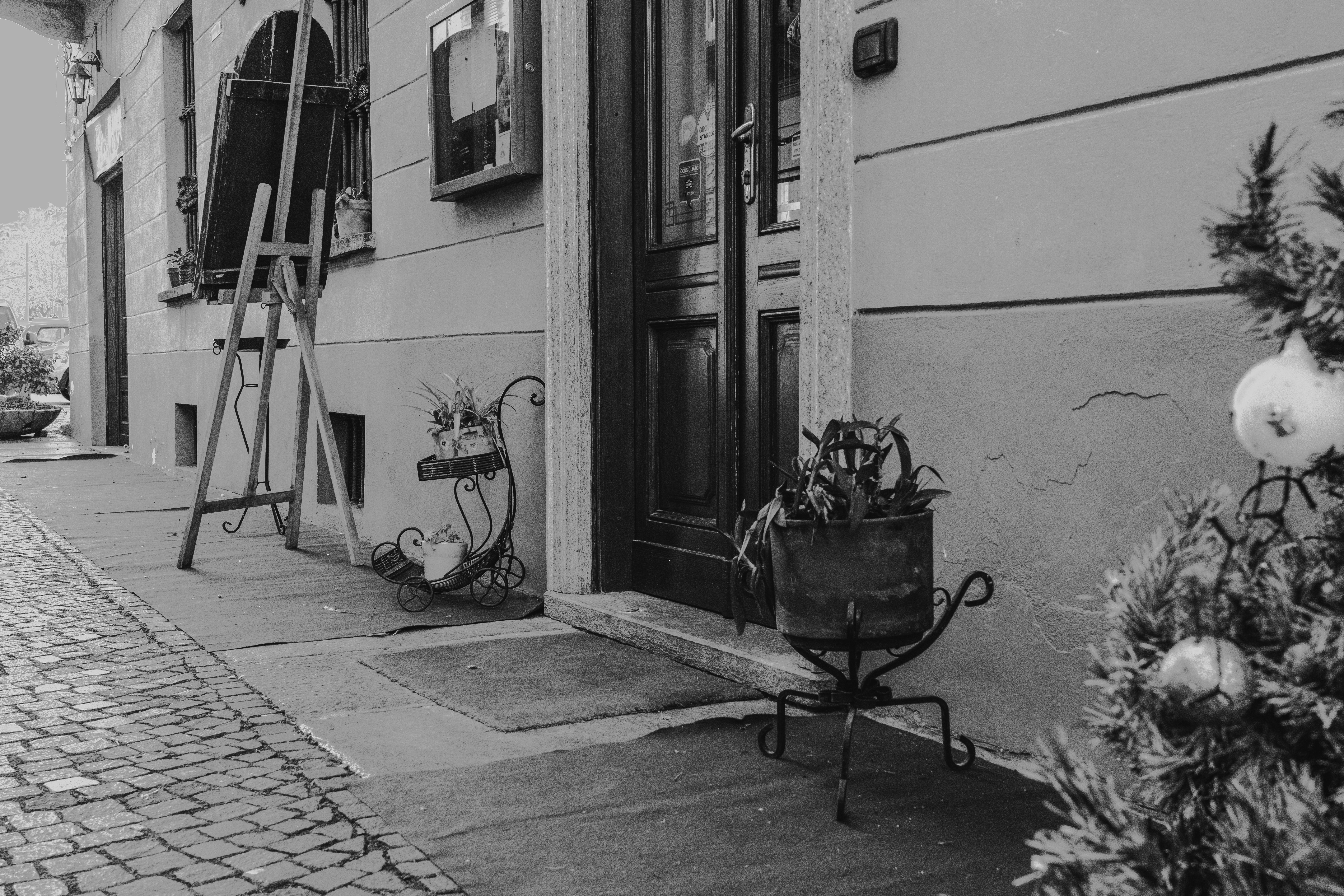 Cobblestone Street Corner with Doorstep Garden