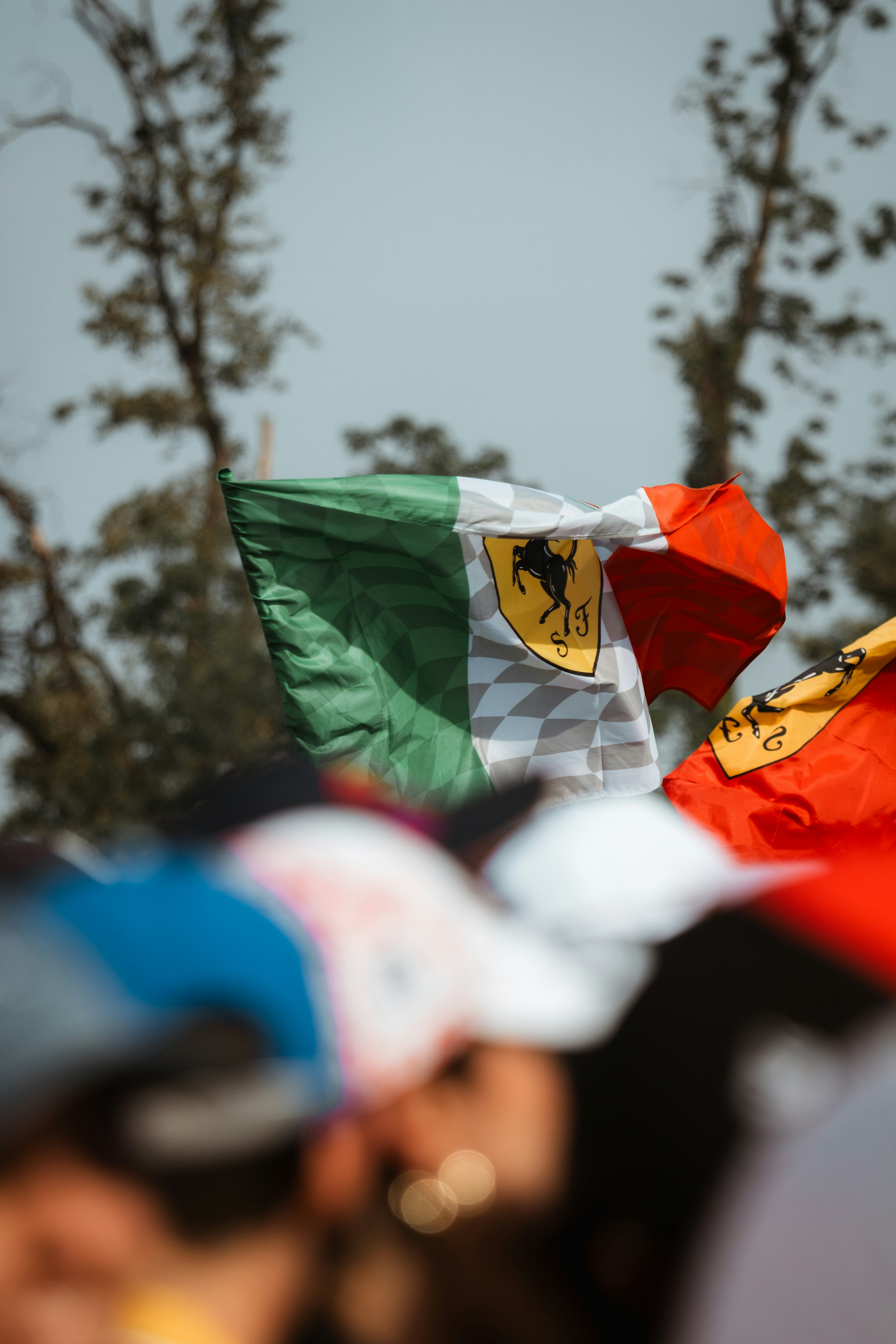 Green, white, and orange: Flags in the foreground as a crowd roars