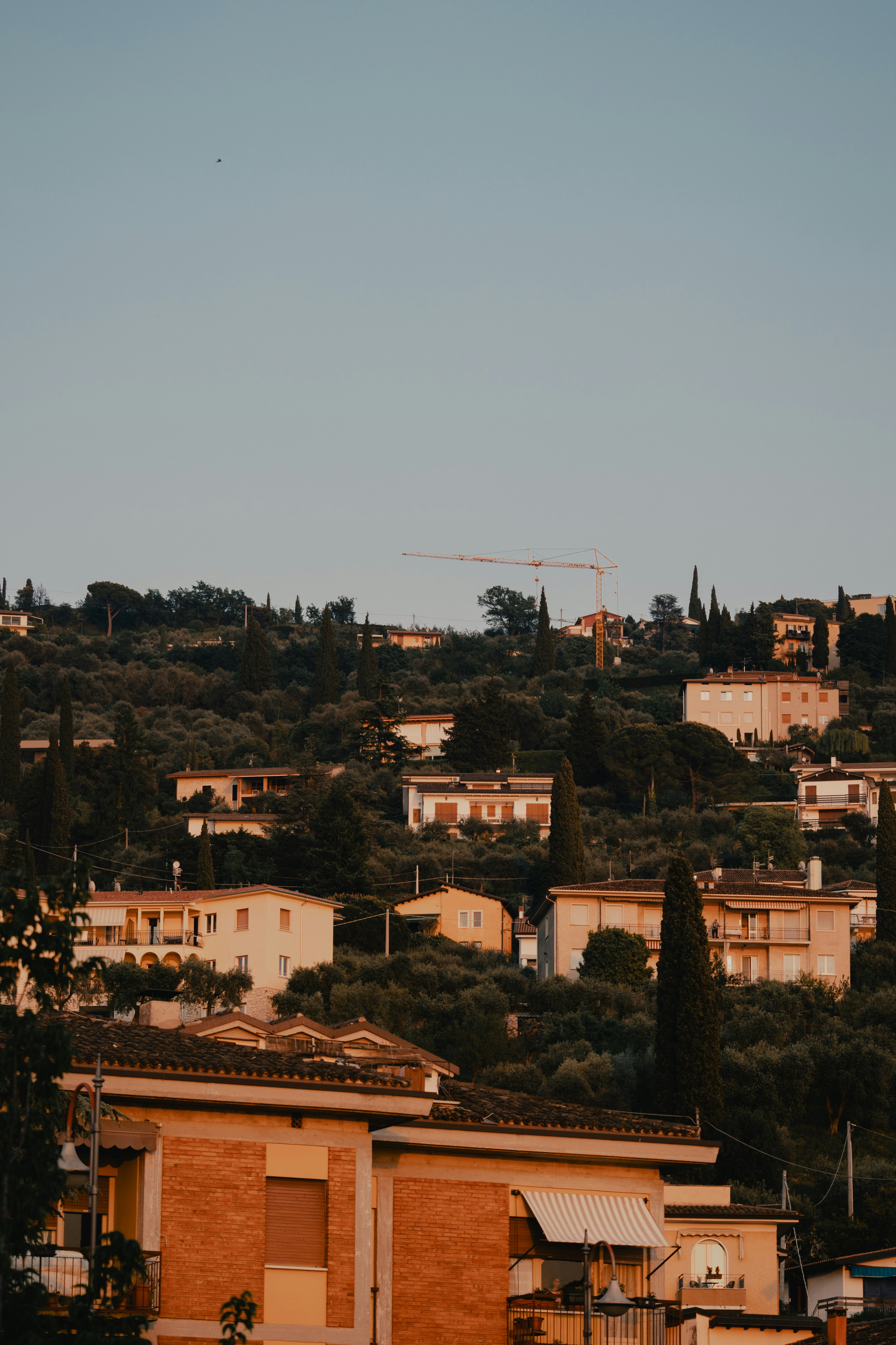 Sunlit hillside neighborhood with a distant crane