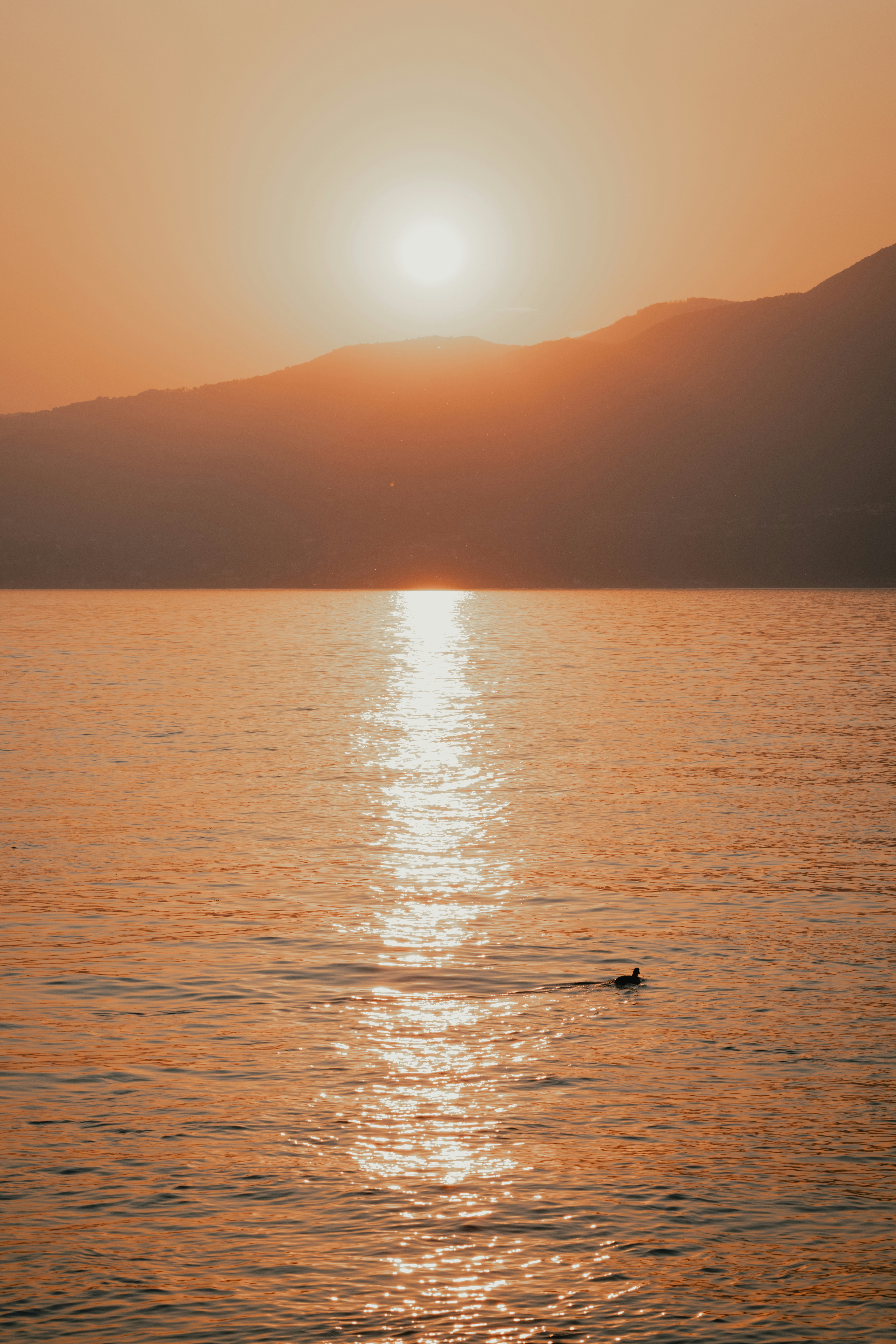 Sunlit Path: A Quiet Glide Across a Calmed Sea at Dusk