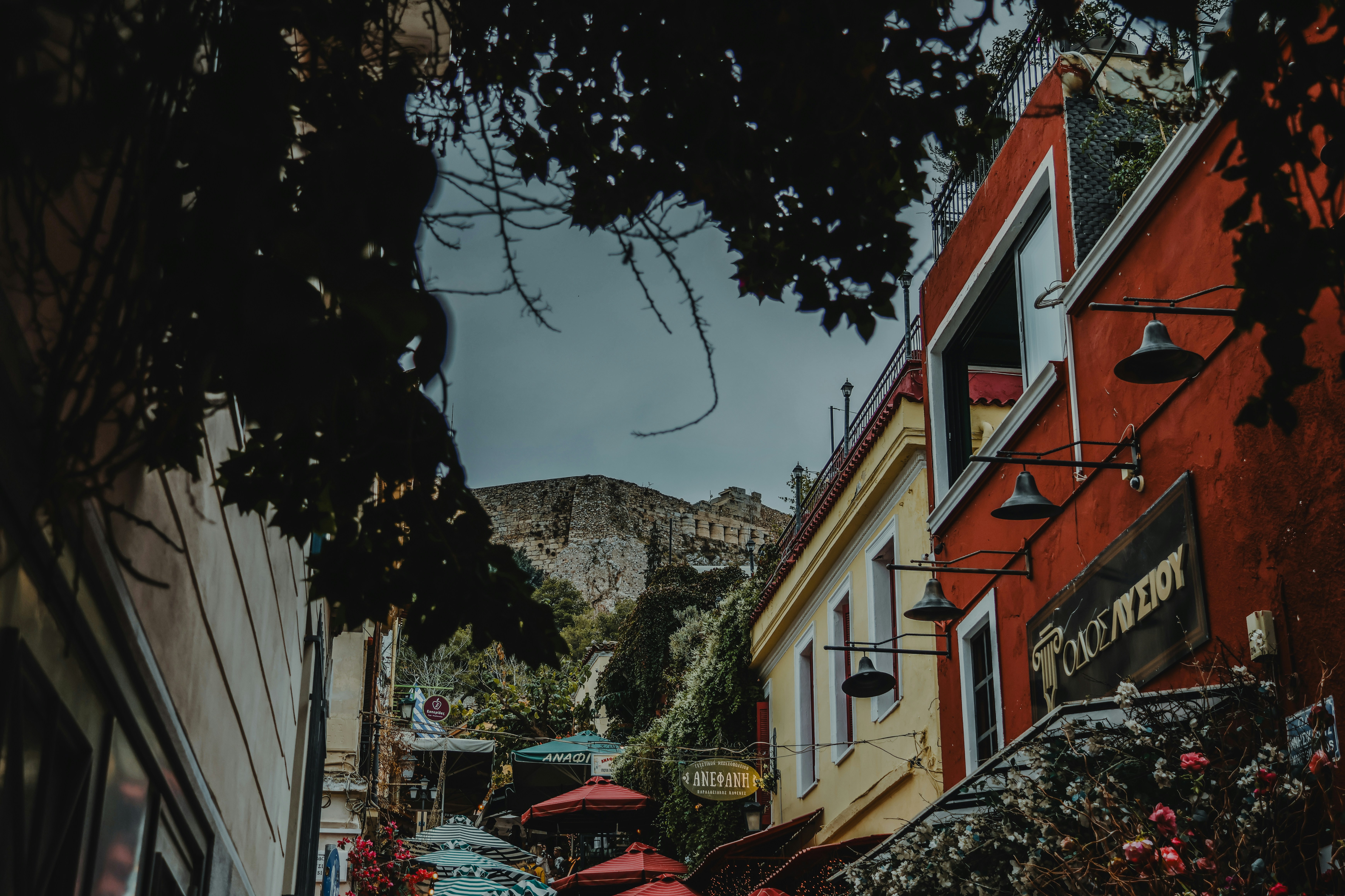 Colorful Village Lane with Red Facades and Garden Overlook
