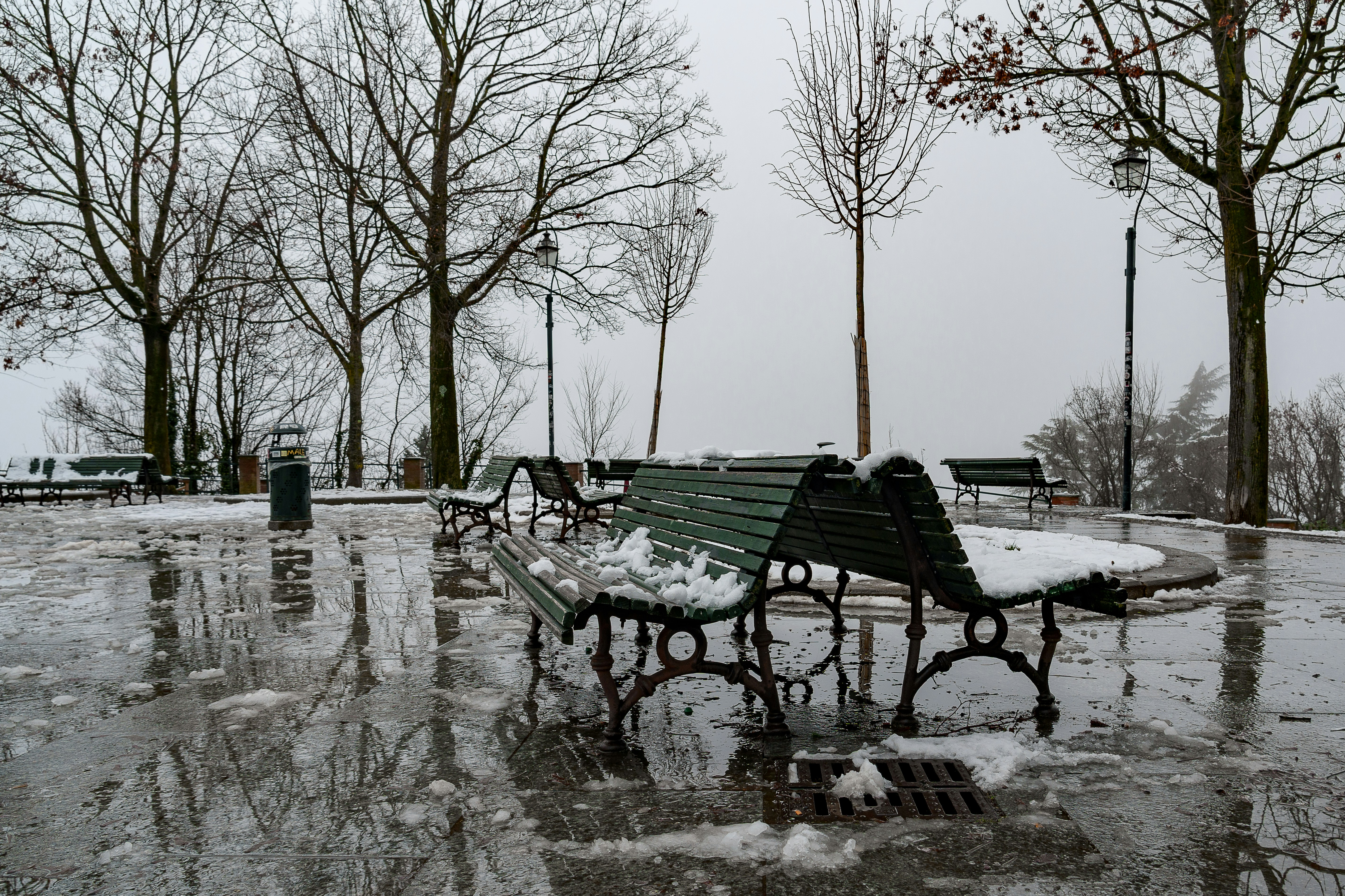 Snow-Streaked Park Bench Beneath Winter Bare Trees