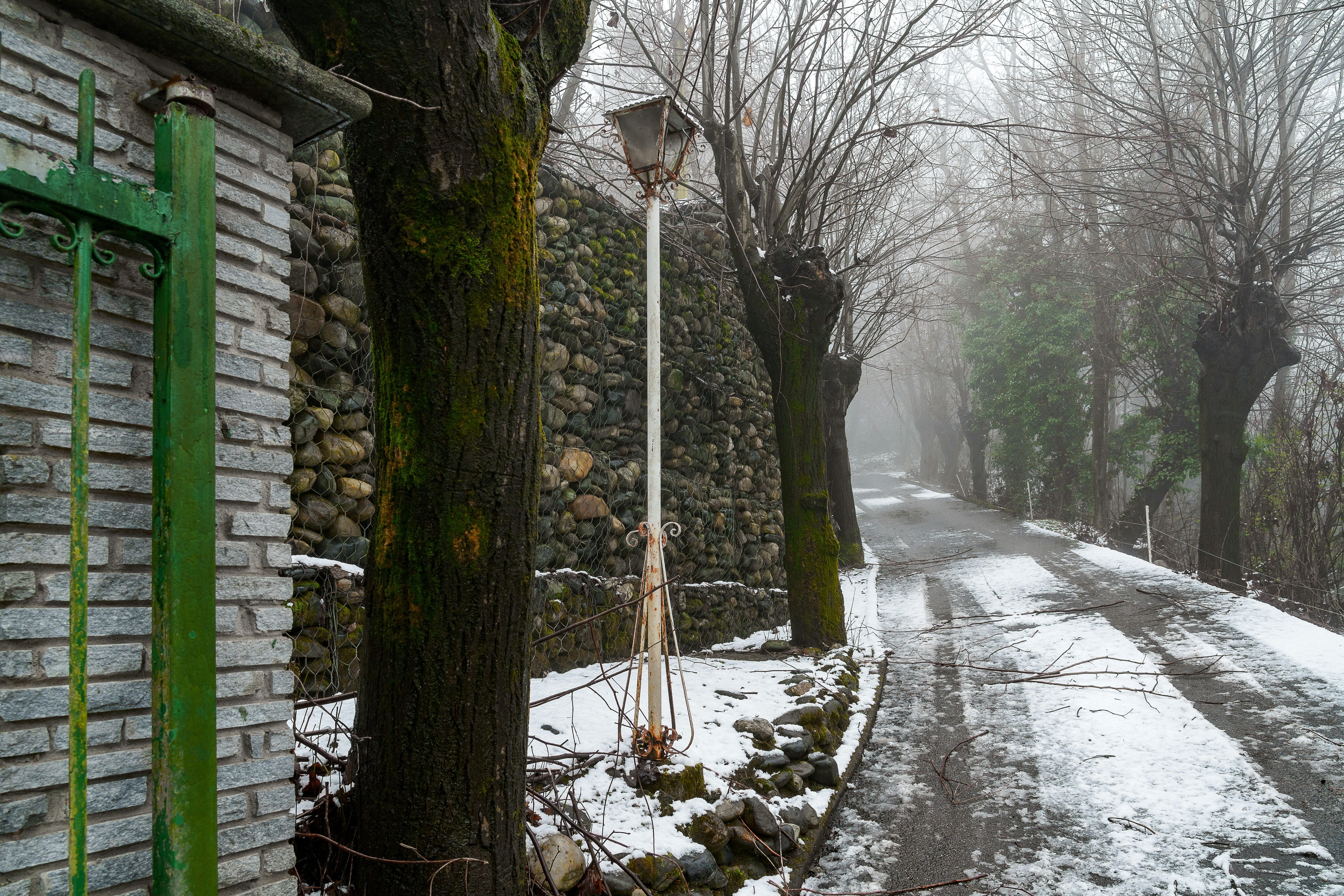 Snowy Lane with Mossy Wall and Lantern in Mist