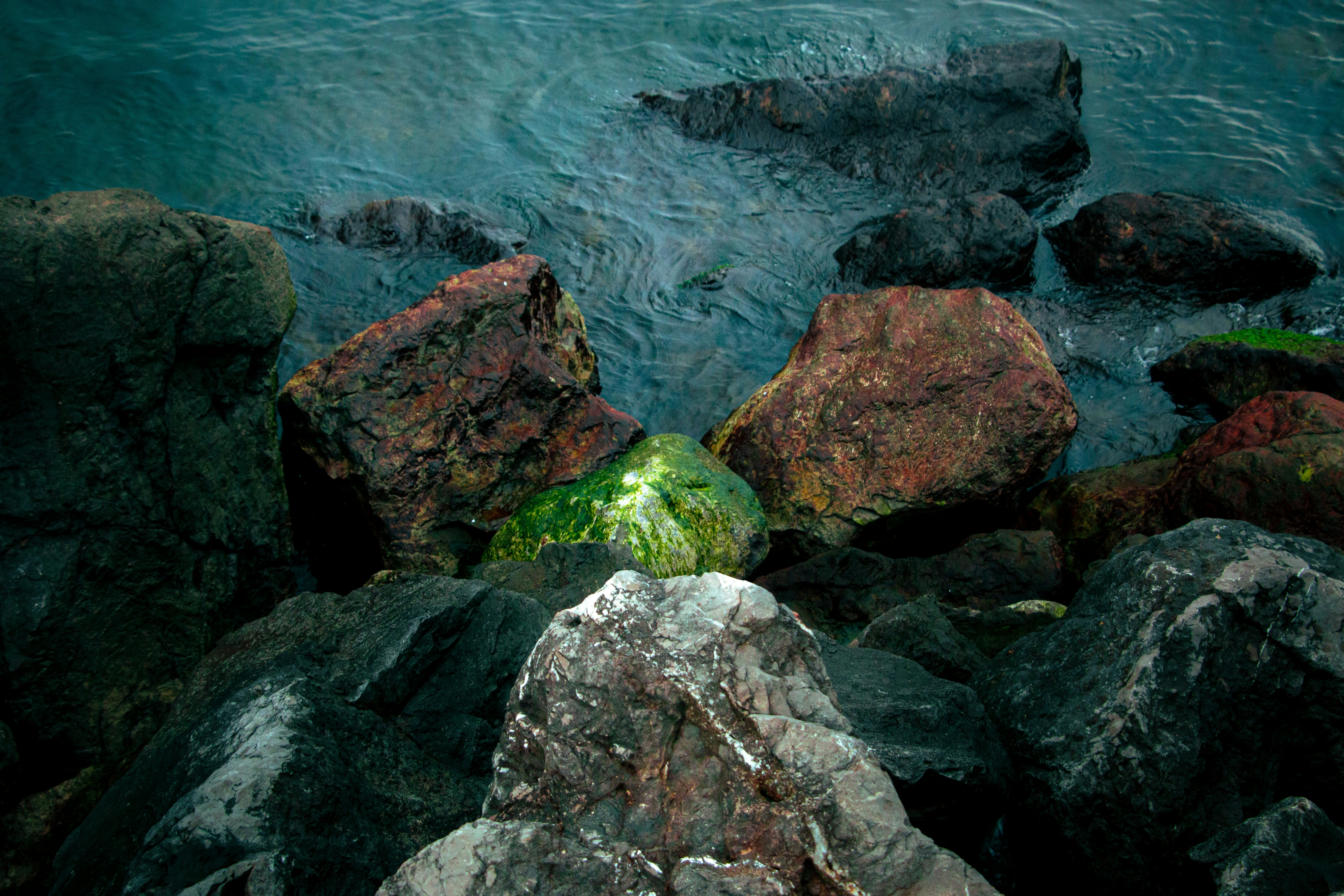 Emerald Moss on Seaward Prow: A Quiet Clash of Rock and Tide