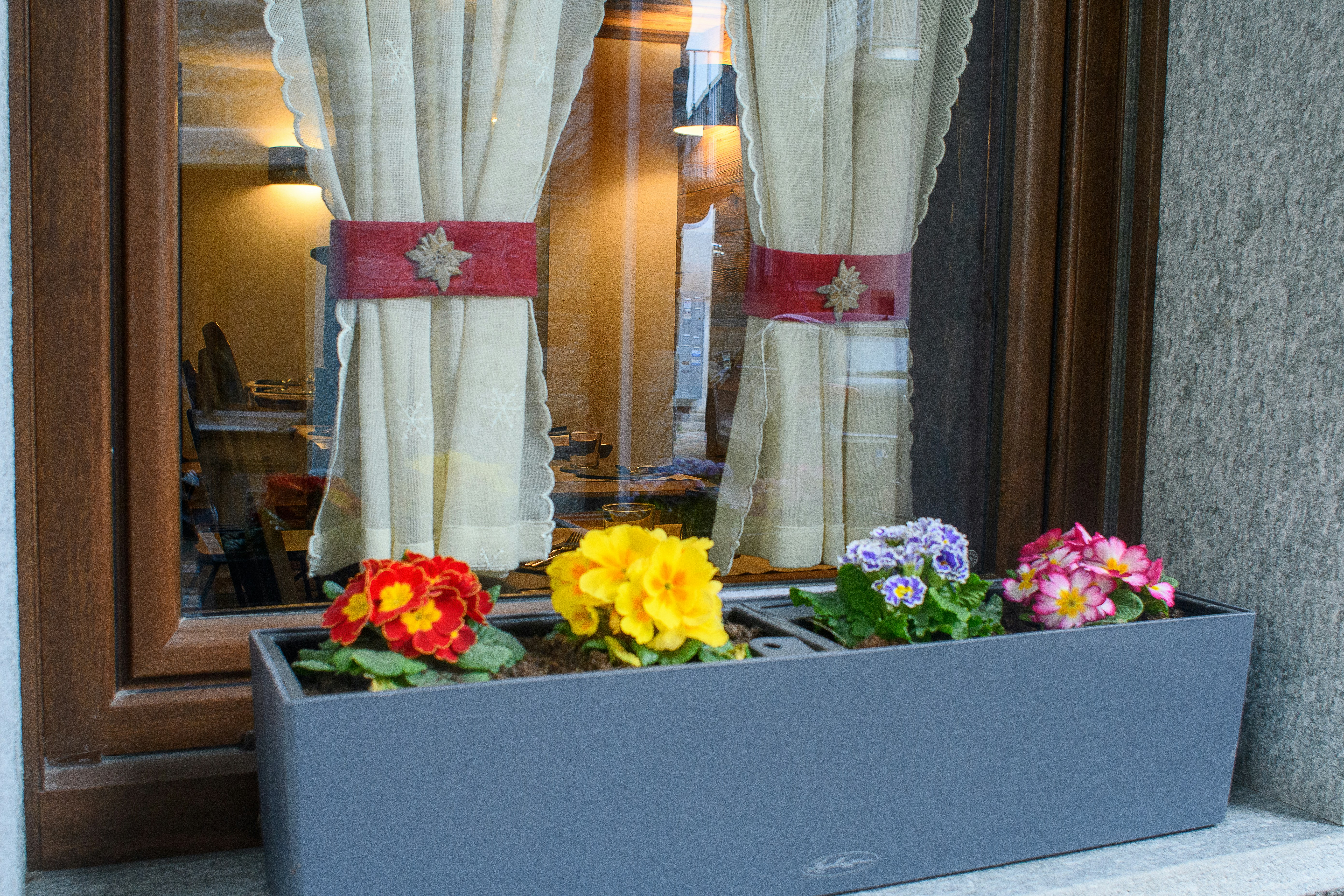 Pastel Gaze Through the Planter Window