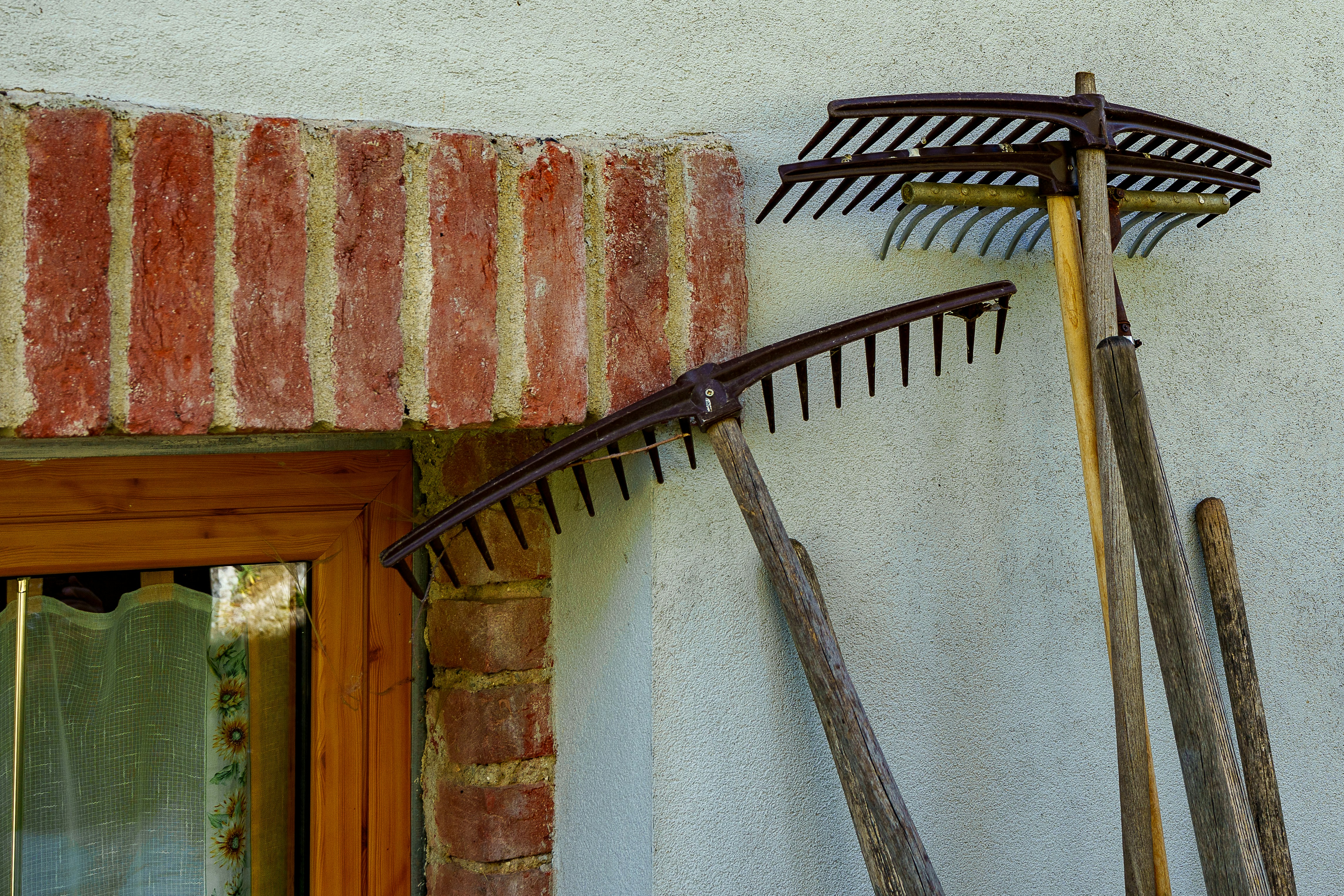 Rusted Rake Quartet Against a Rustic Wall