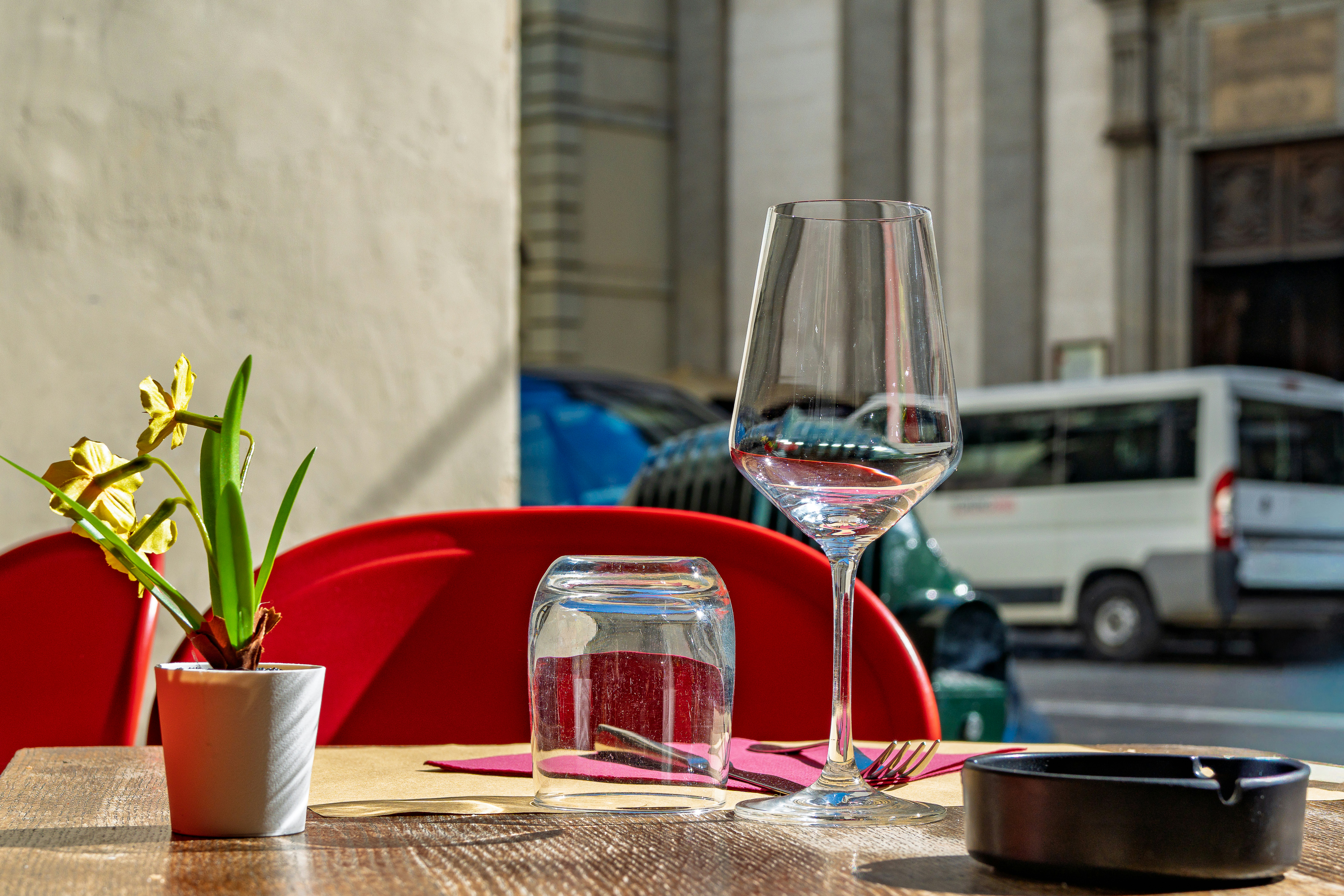 Still Life at the Café: Glassware, Plant, and Shadows