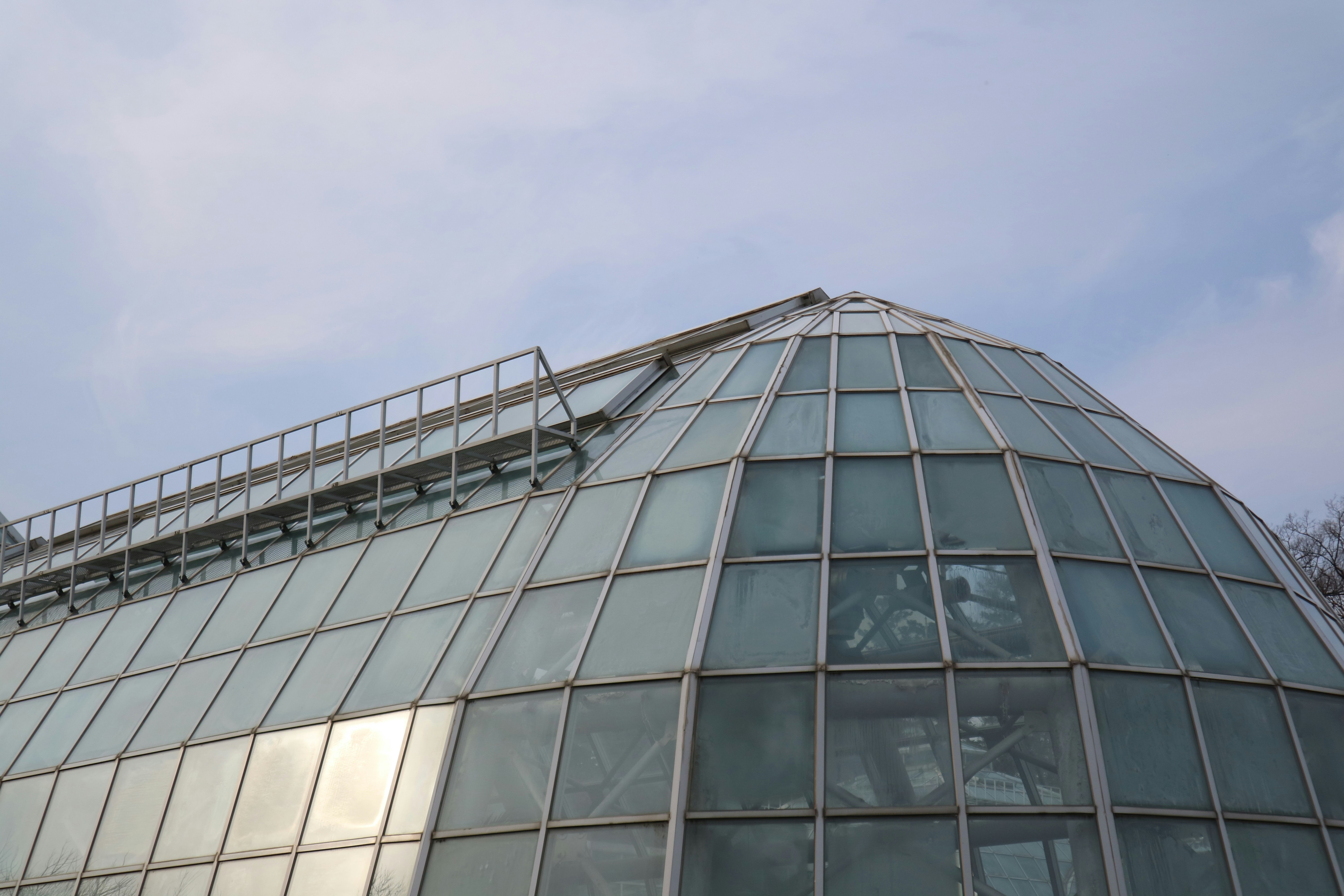 Glassed Apex: The Curved Facade of a Modern Conservatory