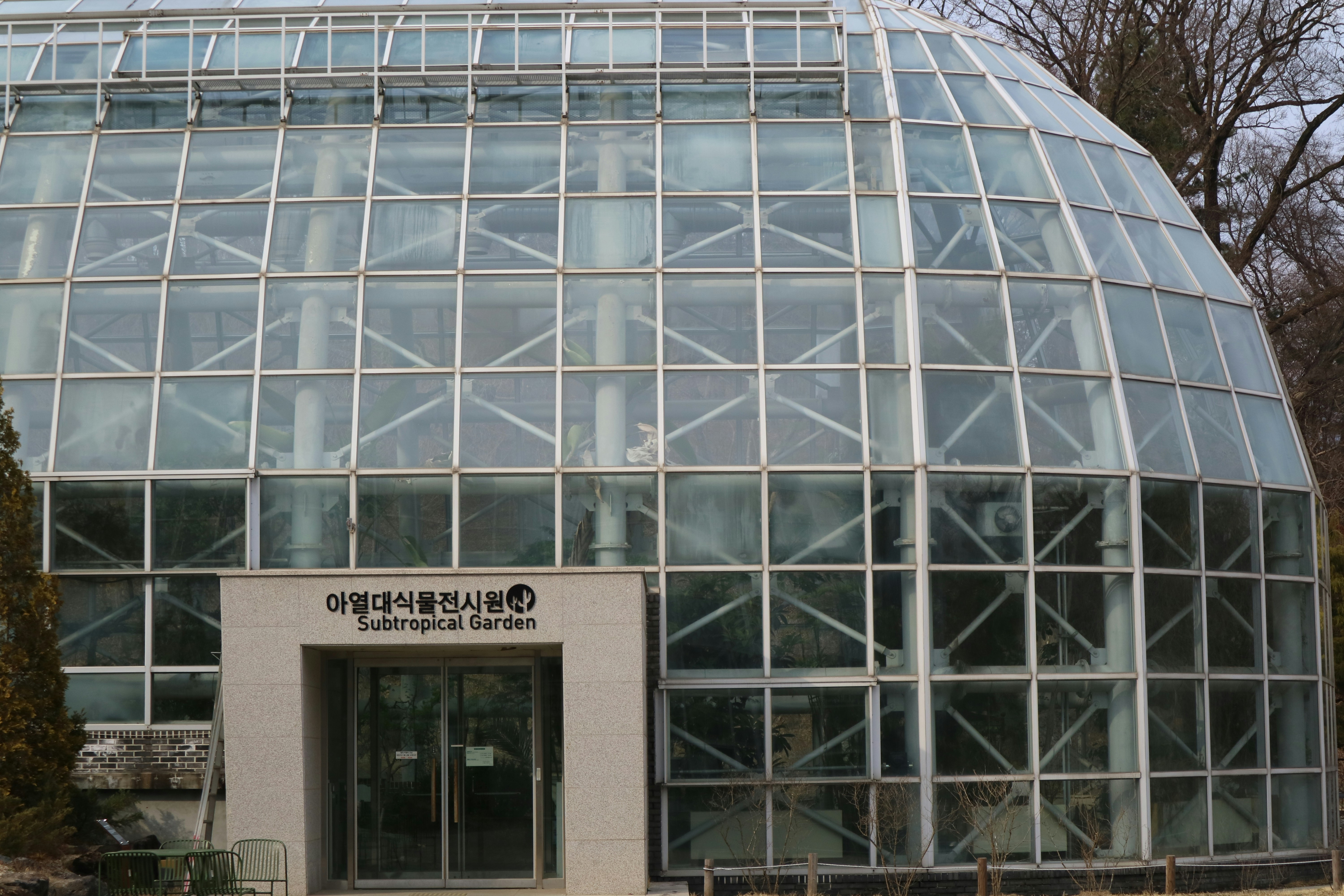 Glasshouse Chronicles: Subtropical Garden at the Conservatory