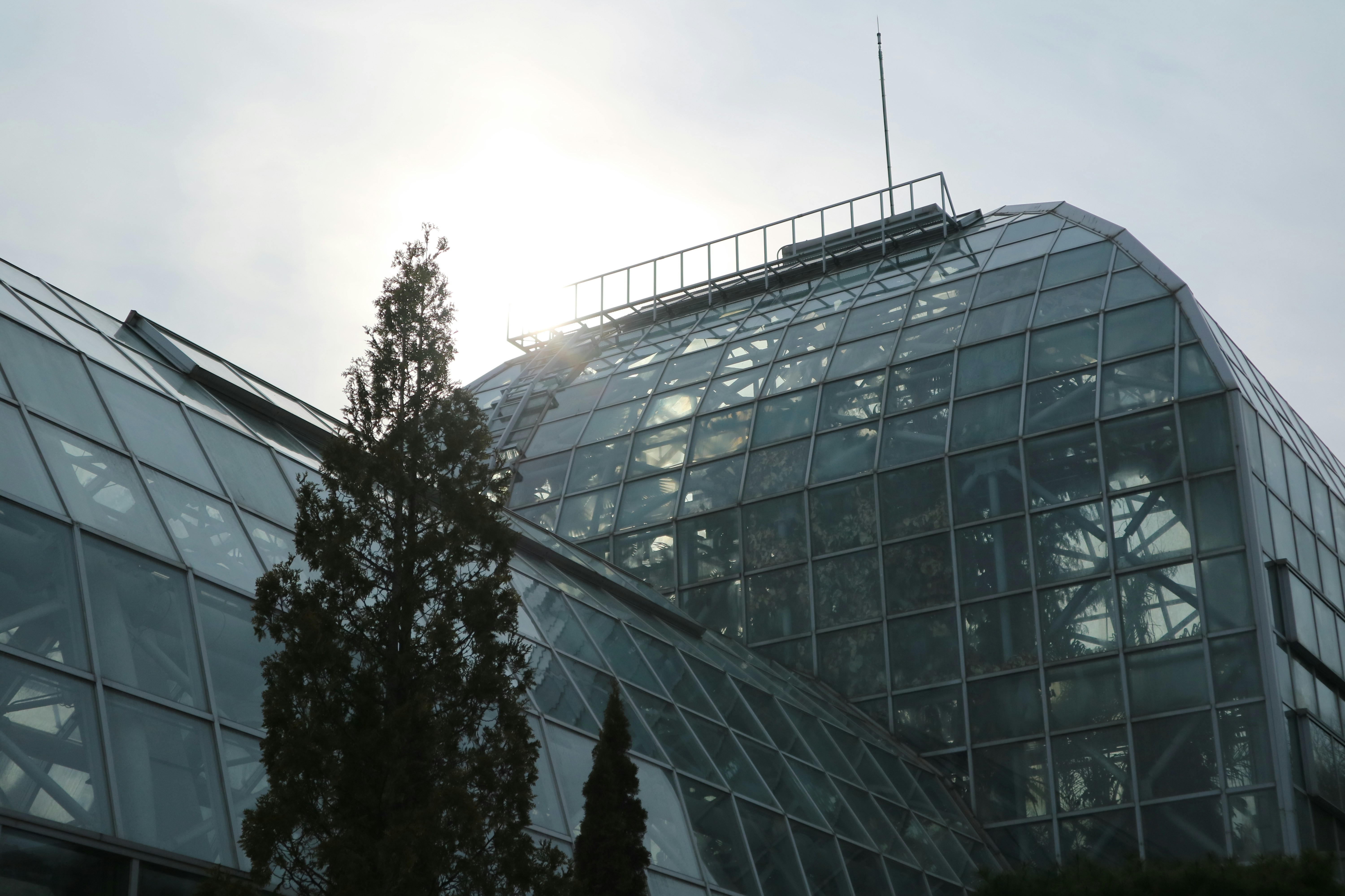 Glass Cathedral at Dusk: Facades and Vegetation Against the Sky
