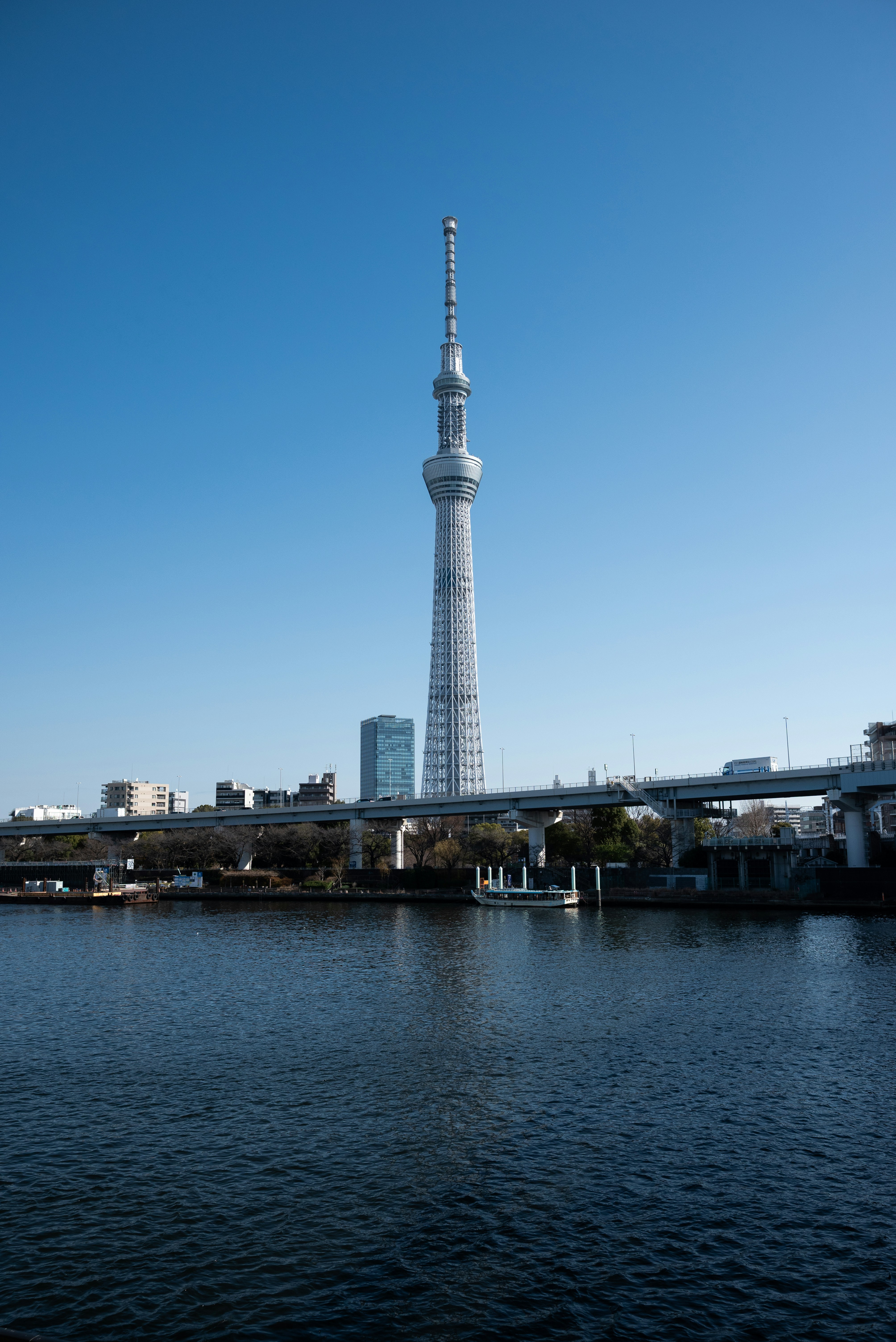Tokyo Skyward: The Skyward Needle Over the River