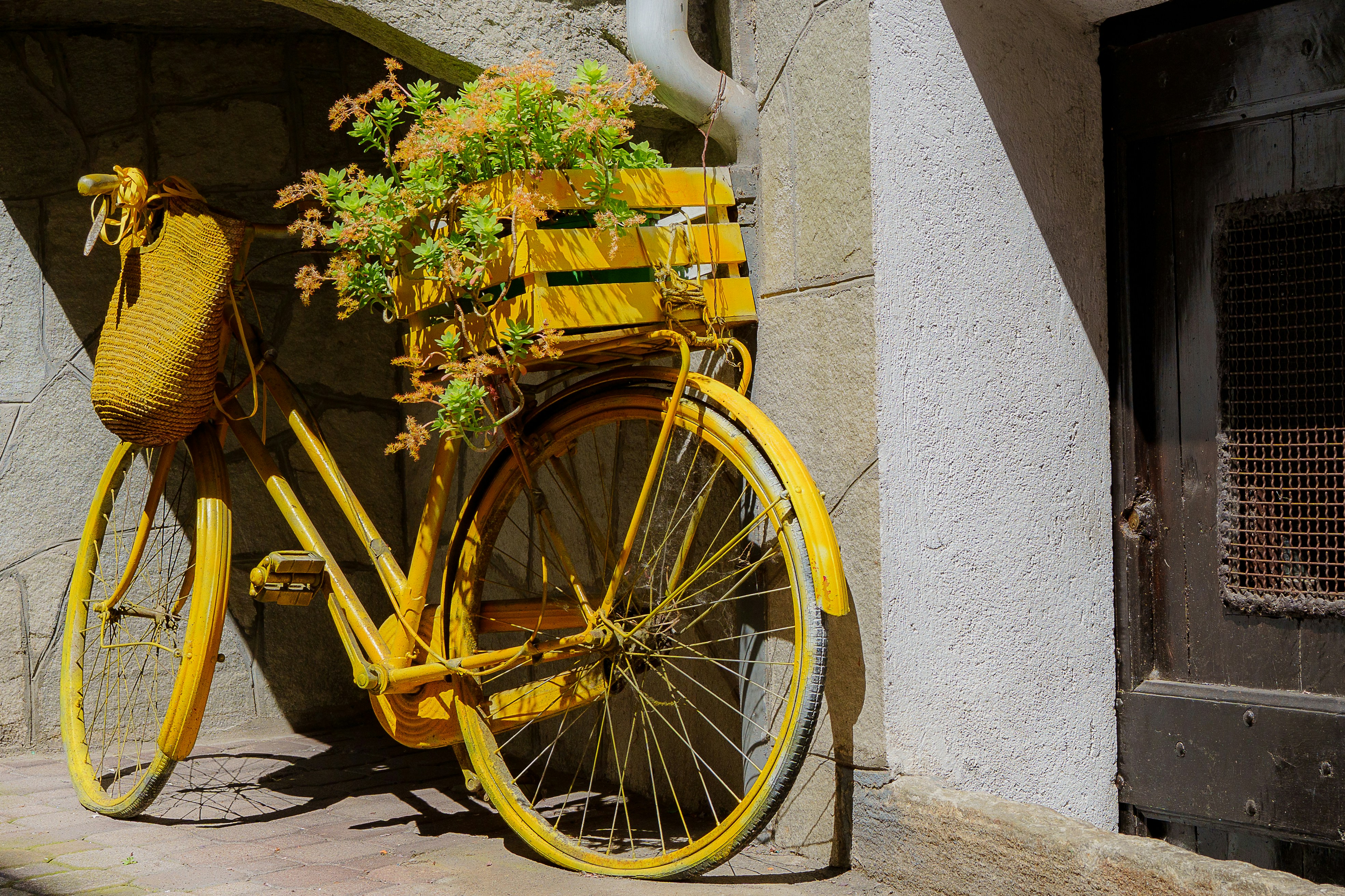 Sunlit Yellow Bicycle with Flower Basket Anchored by a Shaded Doorstep