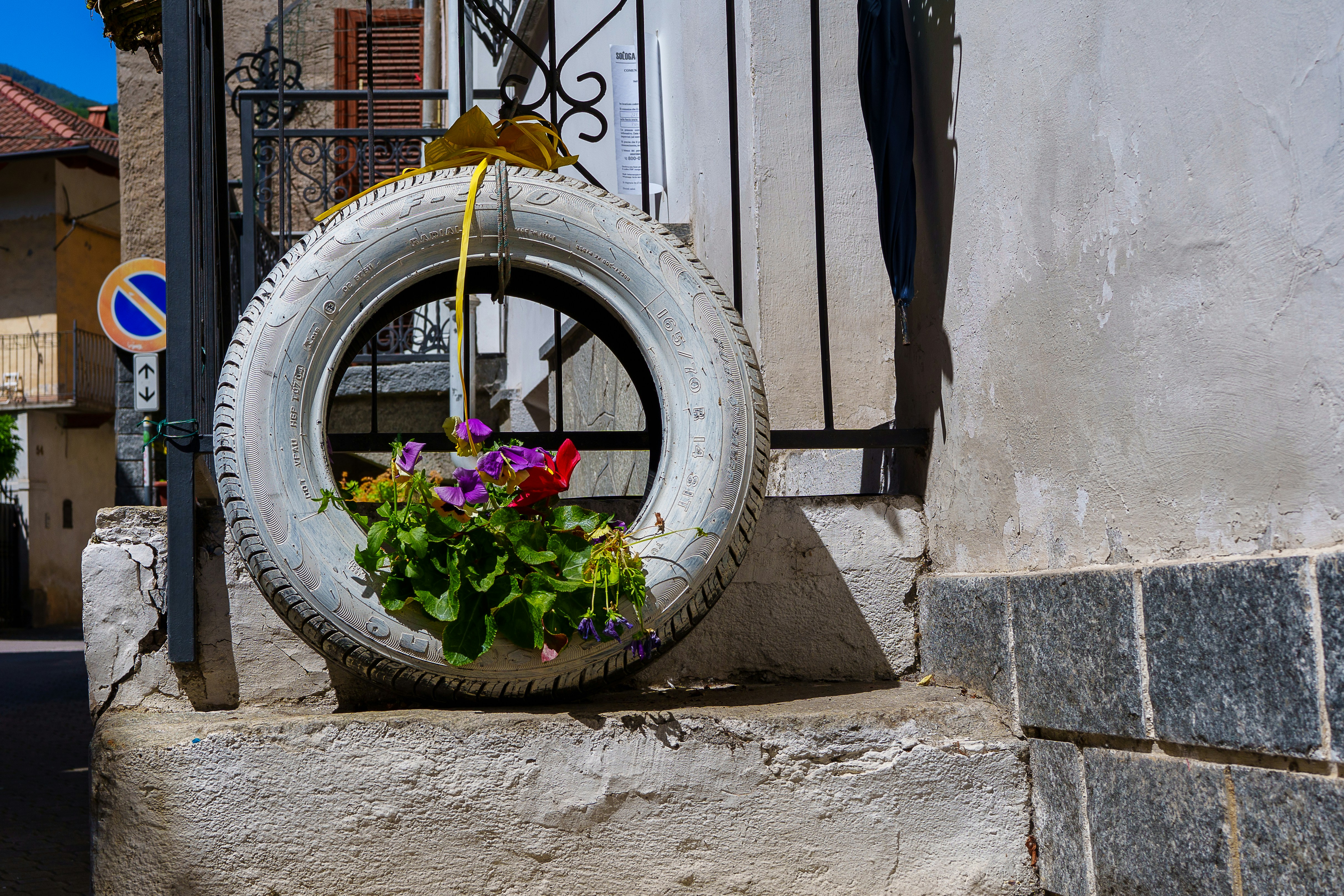 Urban Tire Garden: Flowers Blooming Through a Reclaimed Ring