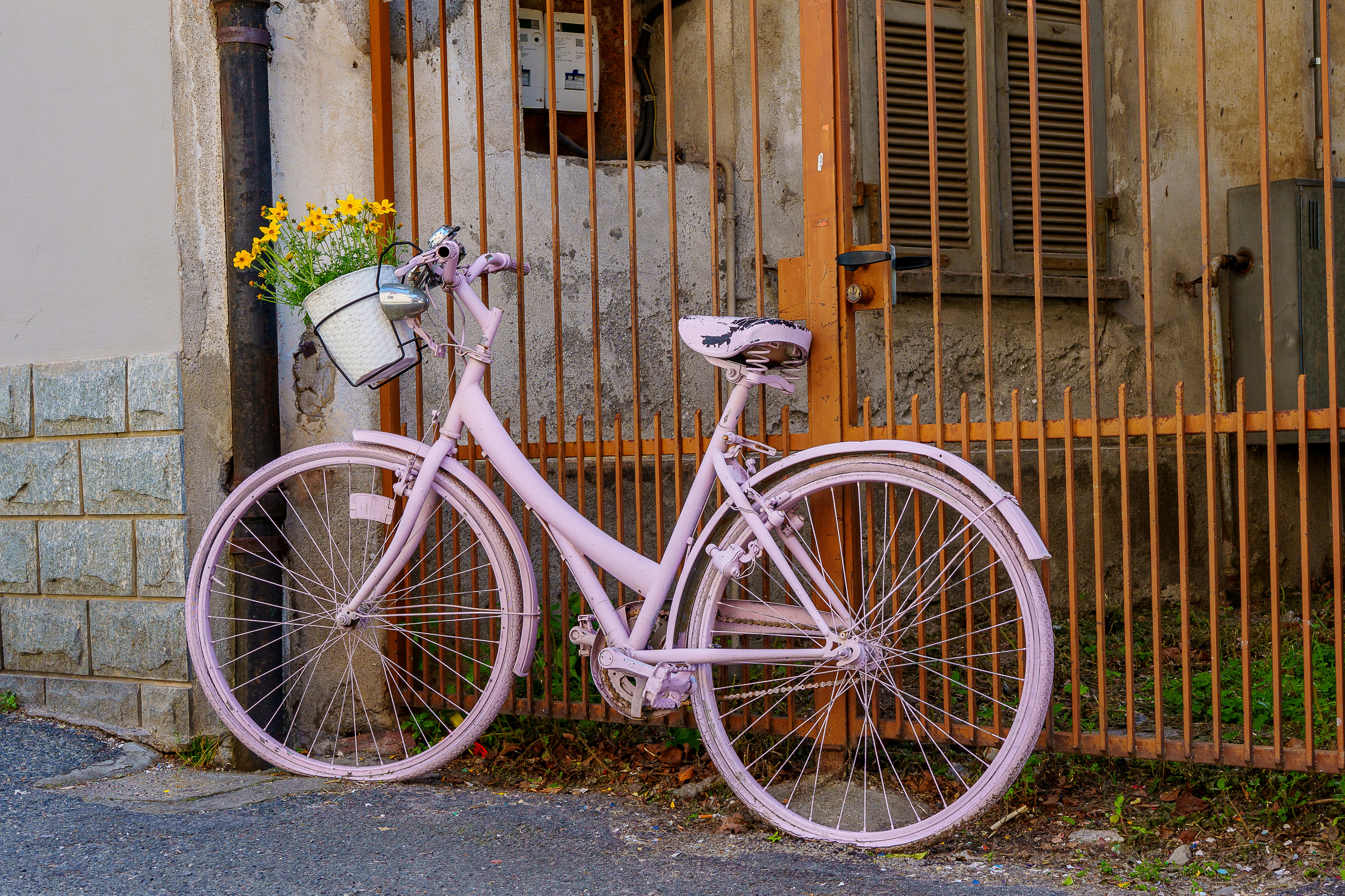Pastel Pedal: a pink bicycle rests beside a weathered gate