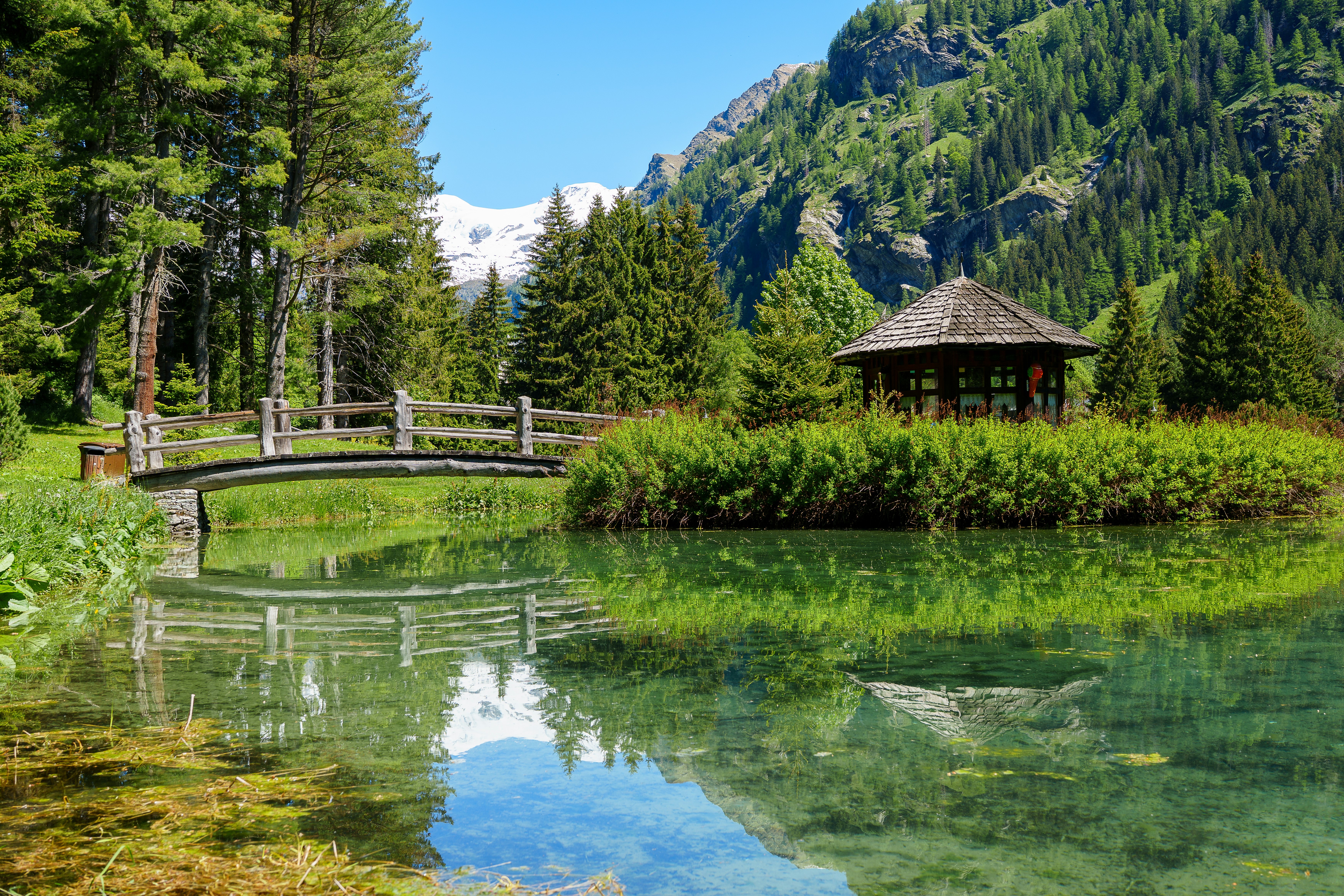 Tranquil Alpine Reflections by the Woodland Pavilion