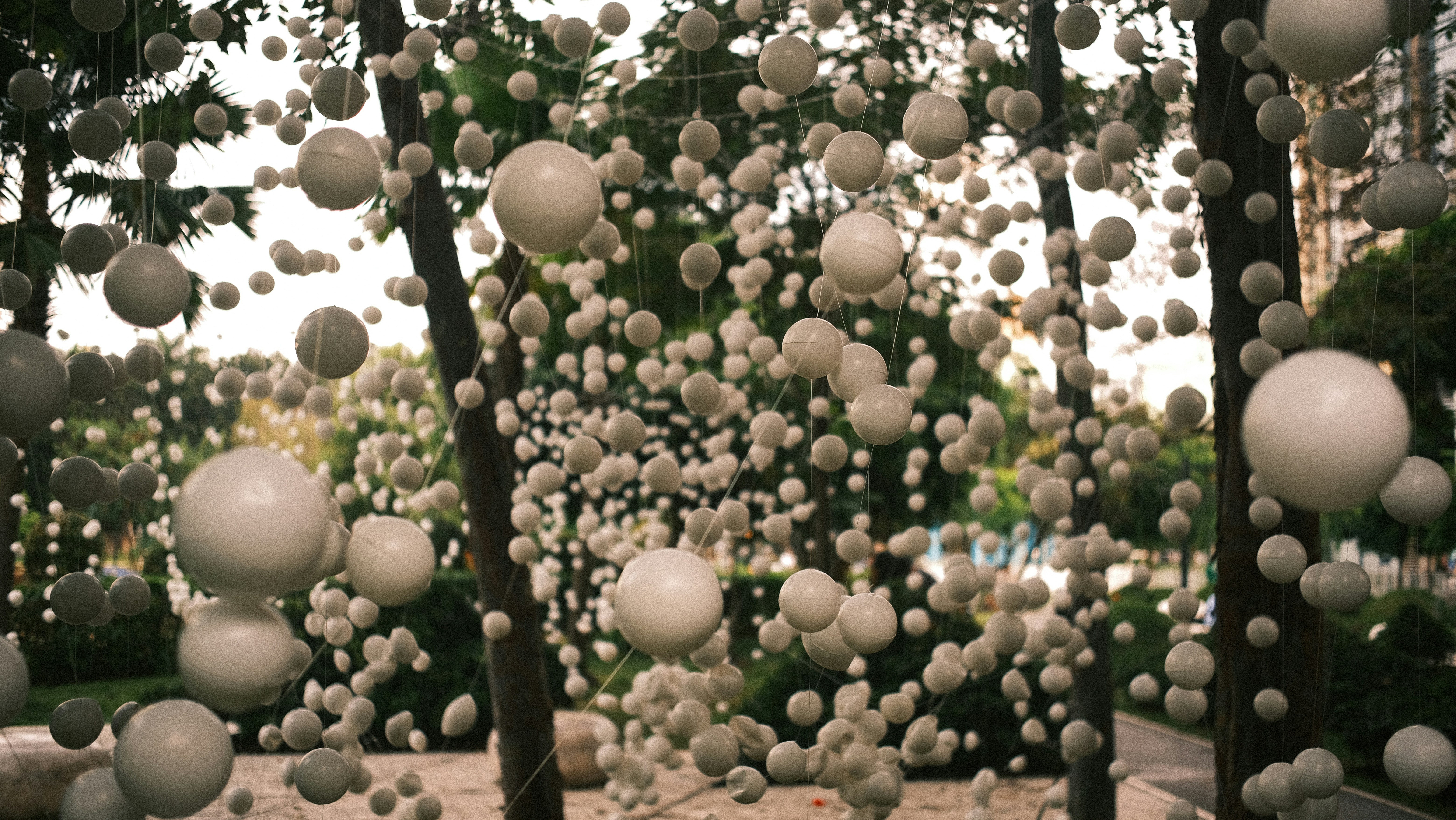Bubble Field Over Dome: A Quiet Storm of Orbs in a Park