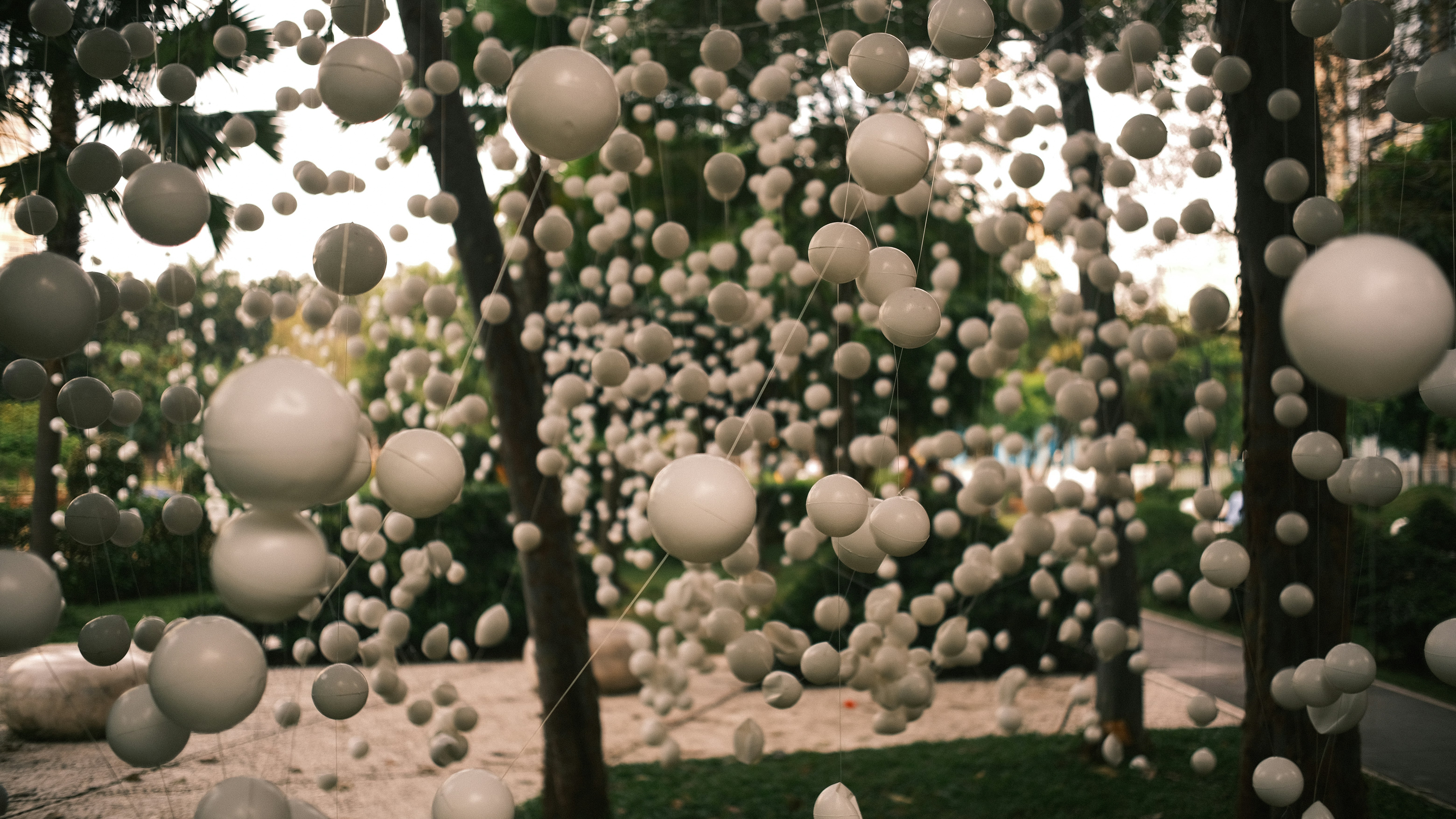 Floating Orbs: A Forest of Seeded Light
