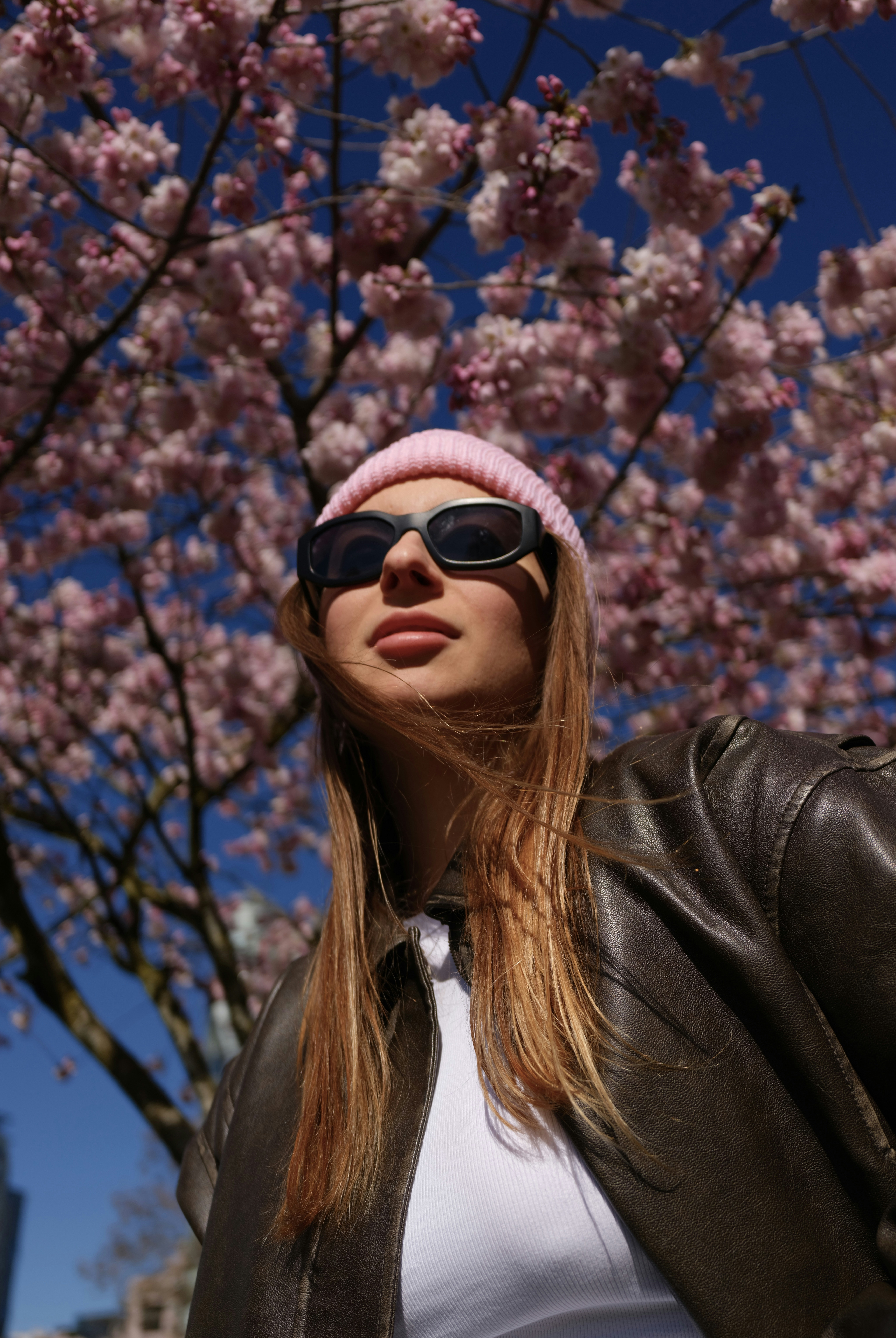 Cherry Bloom Crown: A Sunlit Portrait Under Pink Petals