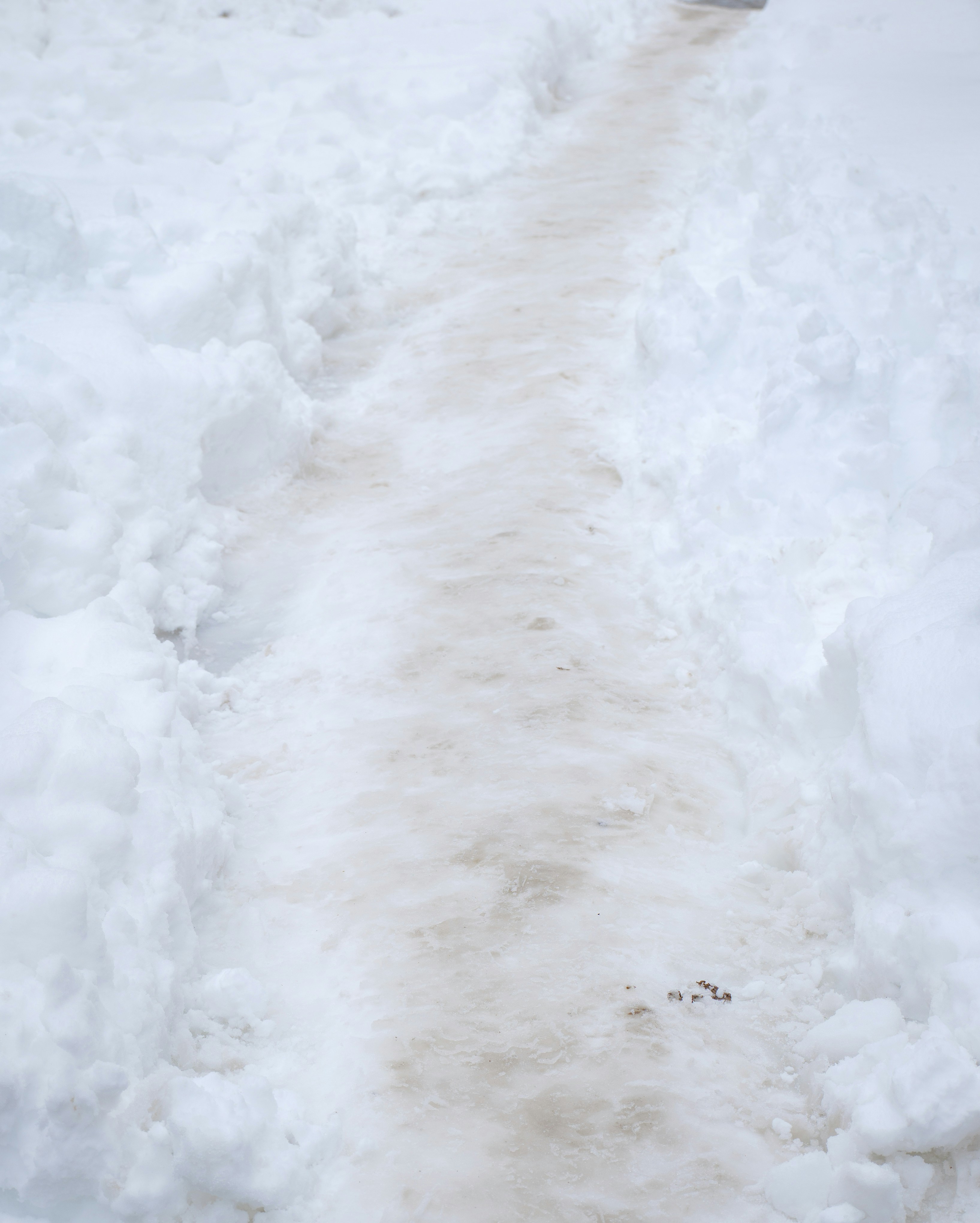 Snowbound Path Carved Through White Silence