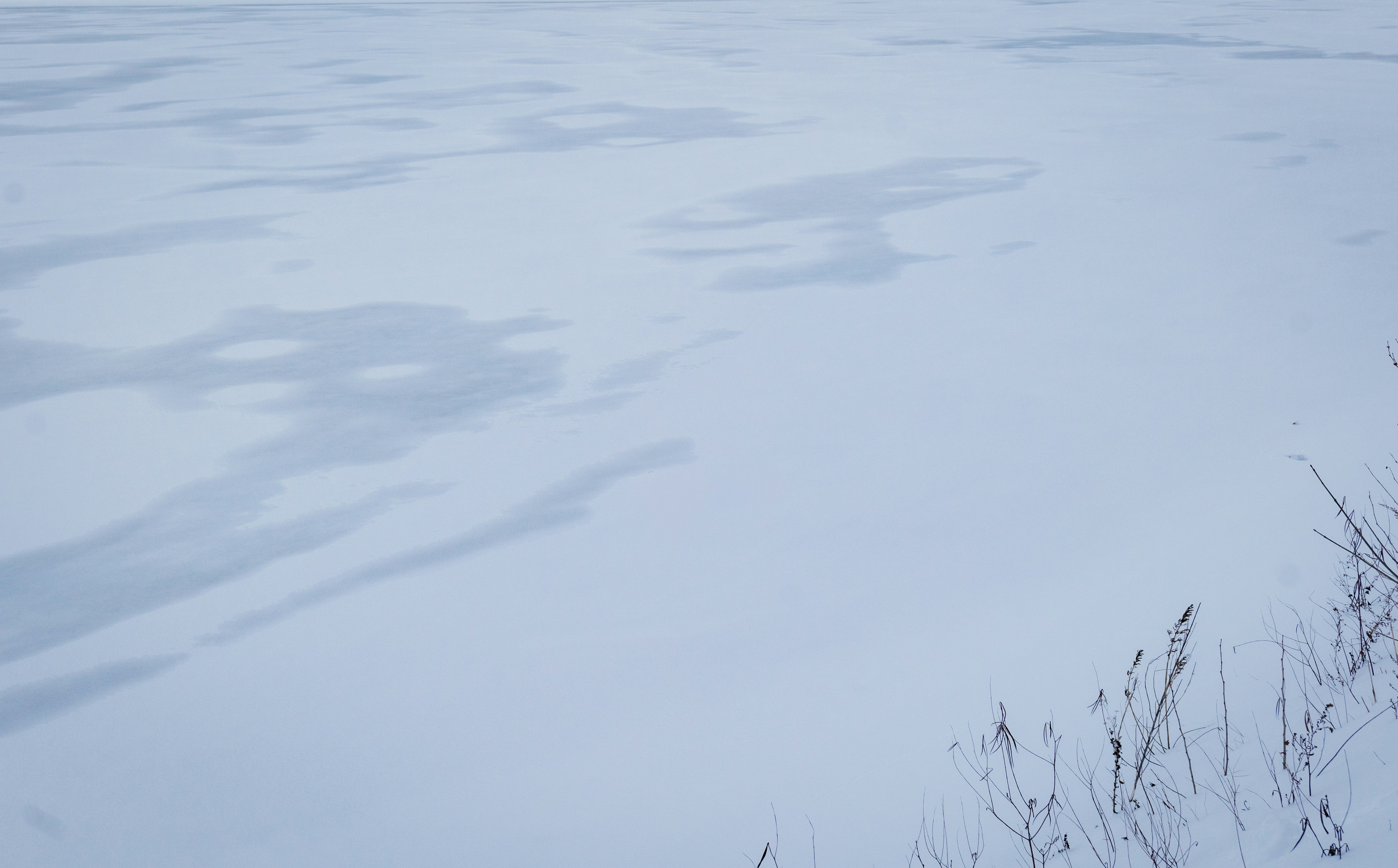 Untouched Snowfield under Quiet Sky