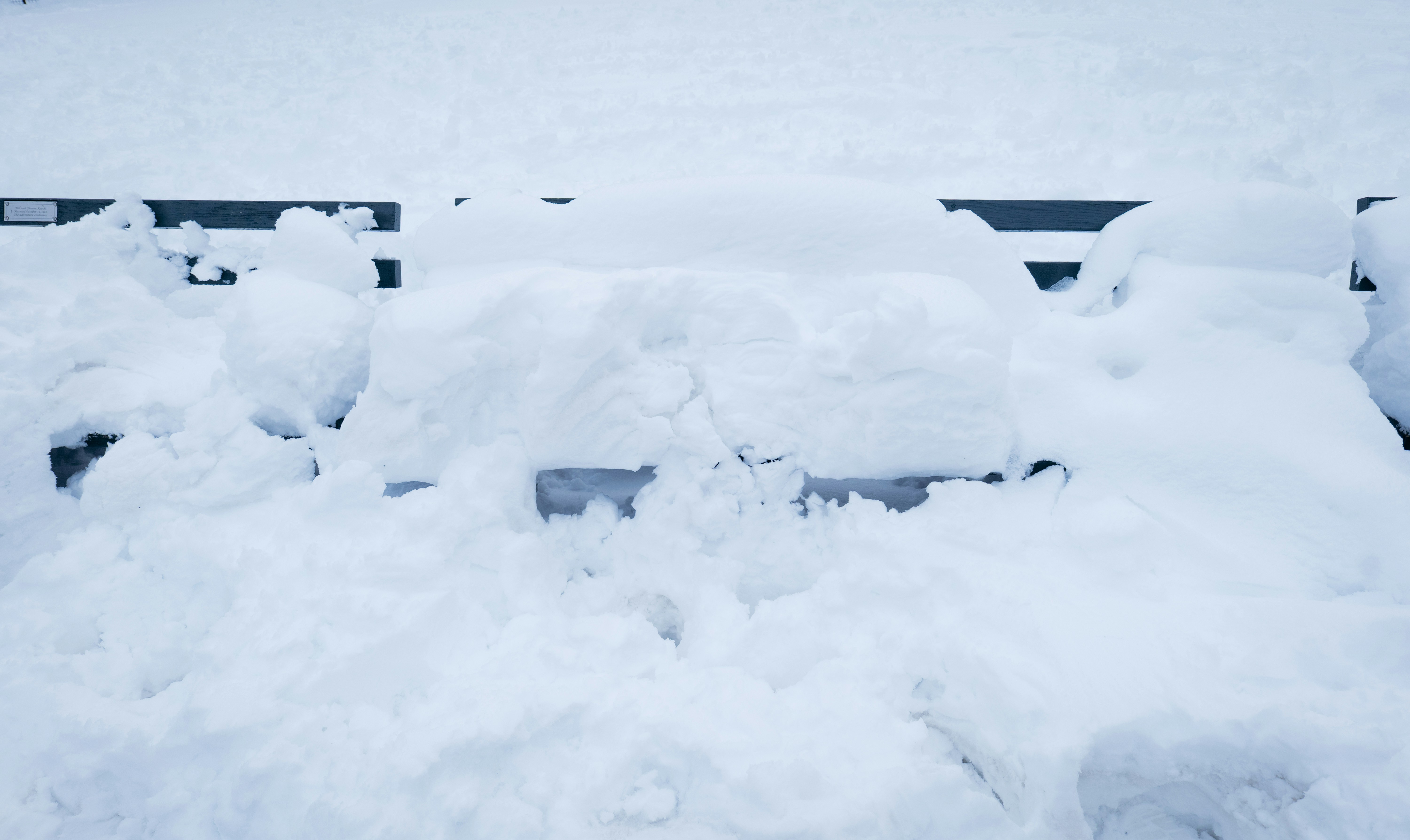 Snowbound Car Sheltered by a Blanketed Street Barrier