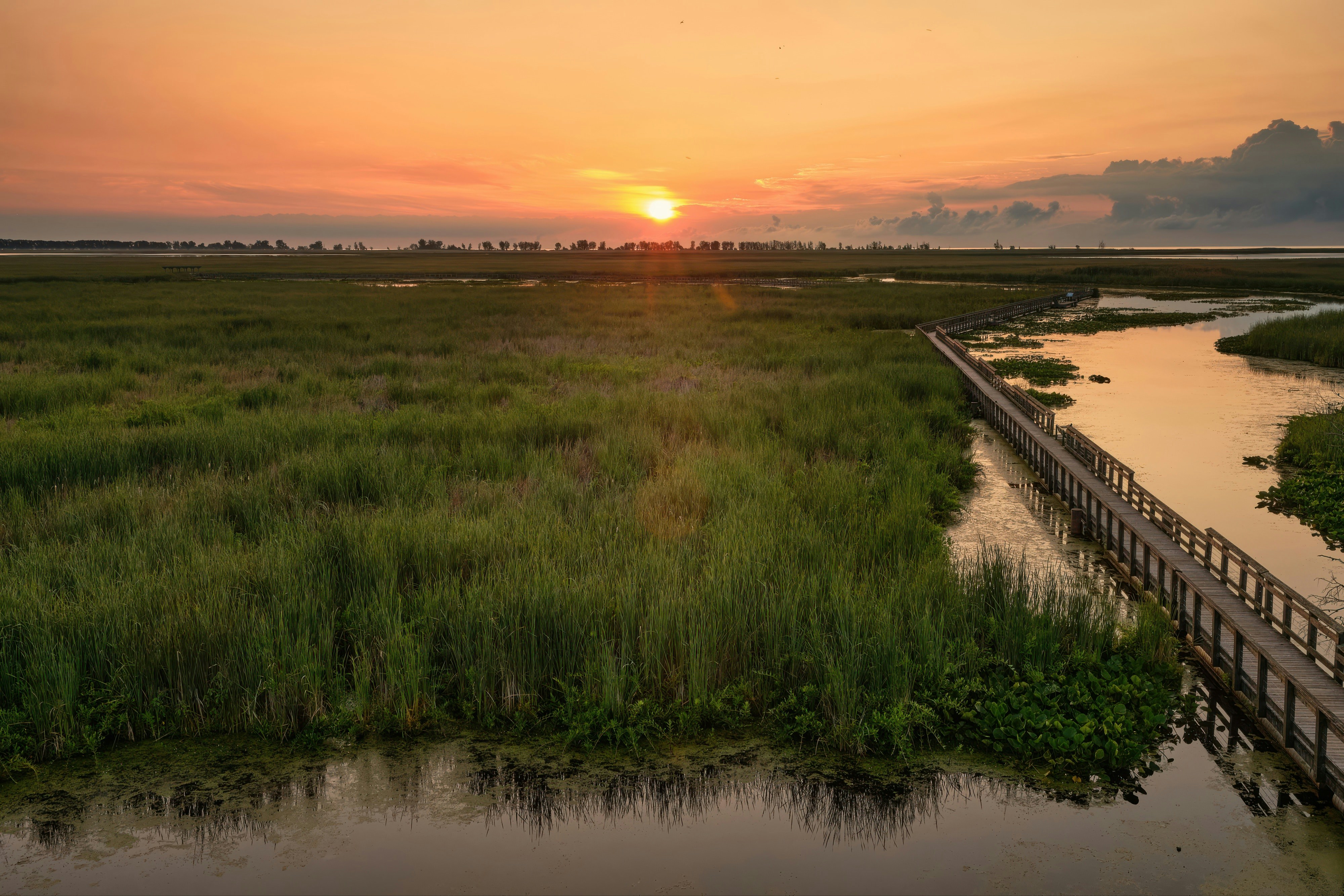 Sunset Over a Boardwalk Through Marsh Grass