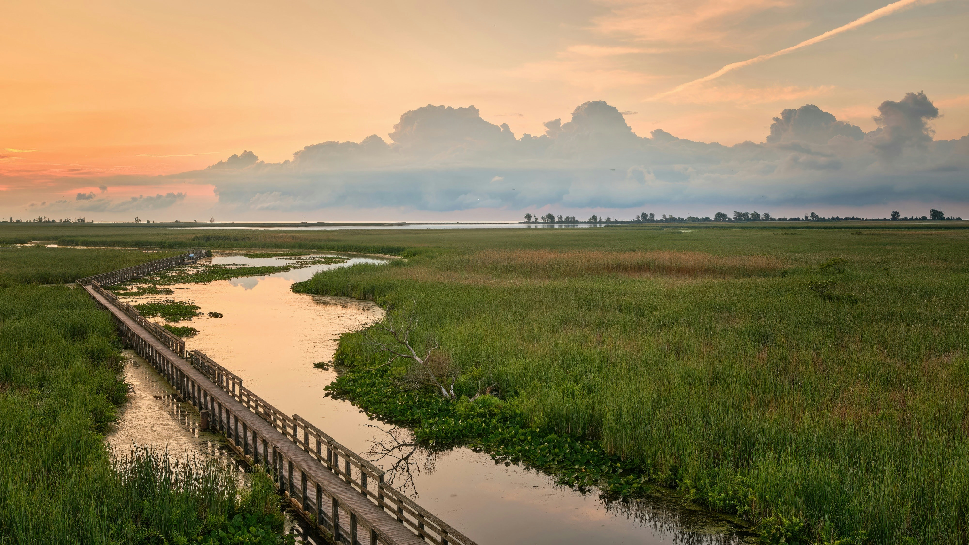 Dusk over the Marsh: A Wooden Walkway Traces a Quiet Rivercape