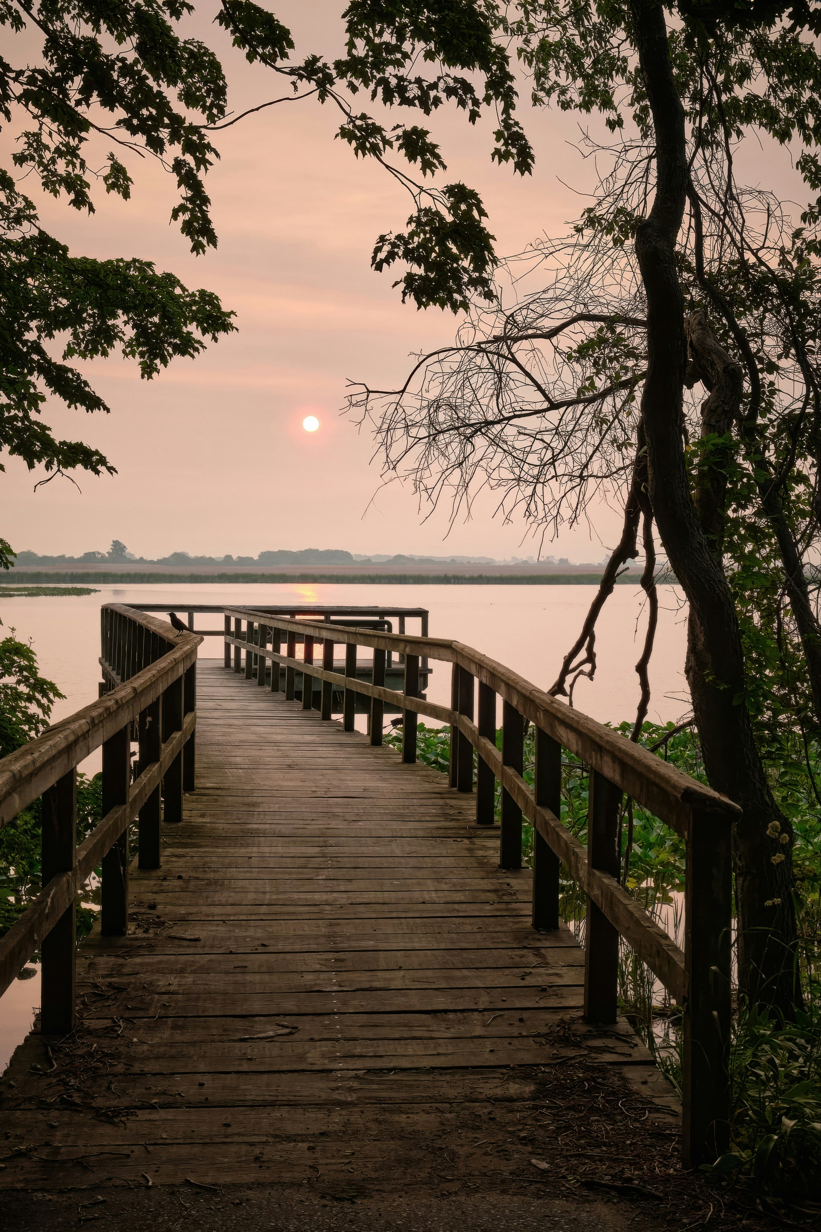 Sunset Pier: A Quiet Boardwalk Leading Toward the Distant Horizon