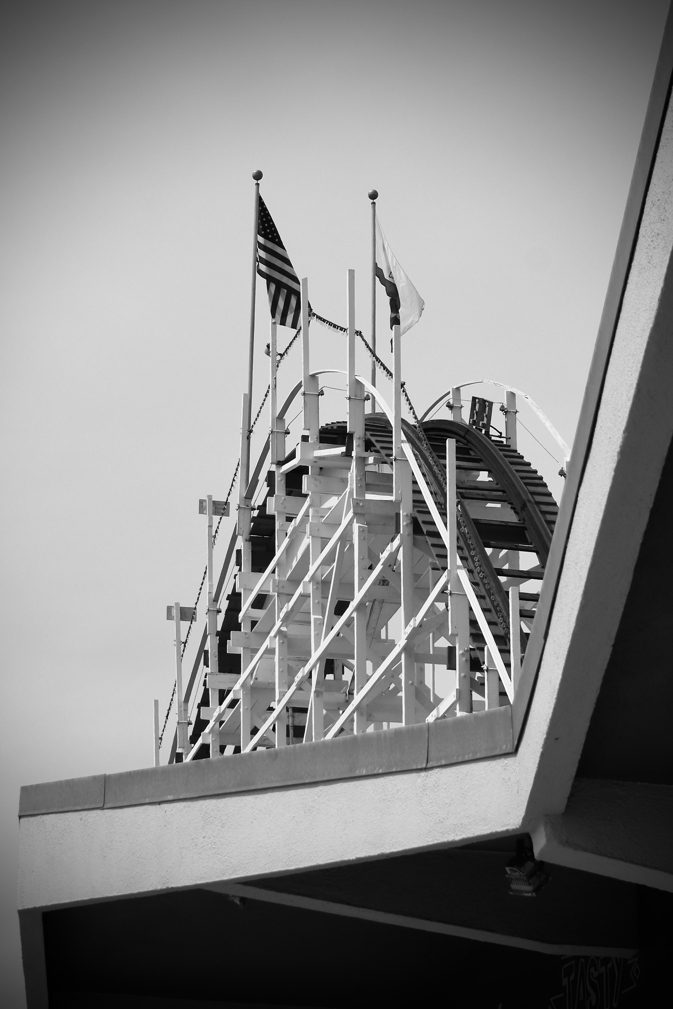 Flagged Ferris Wheel: Geometric Bearings and Bold Angles
