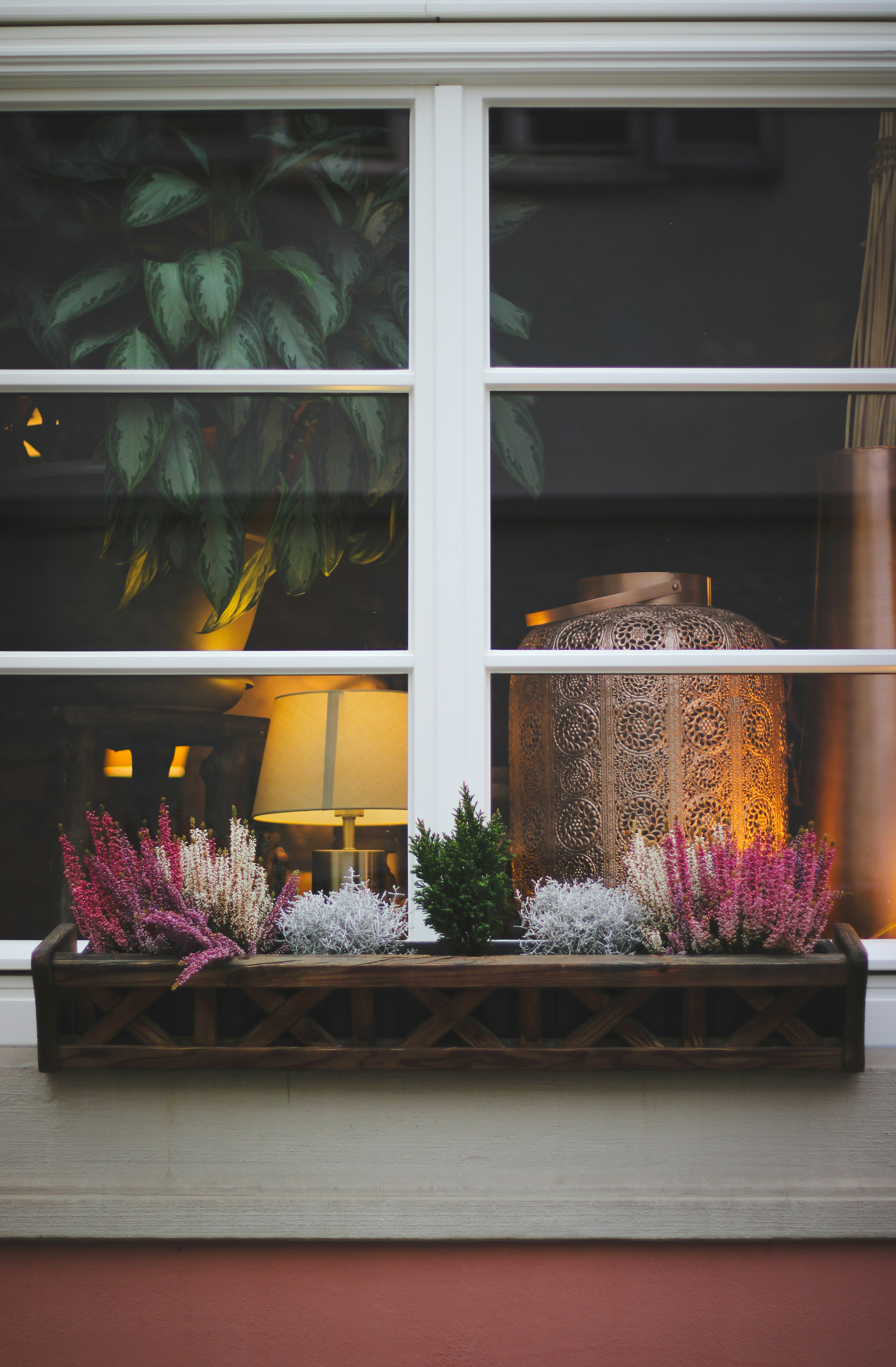 Window Box Serenade: Evening Light on a Floral Display