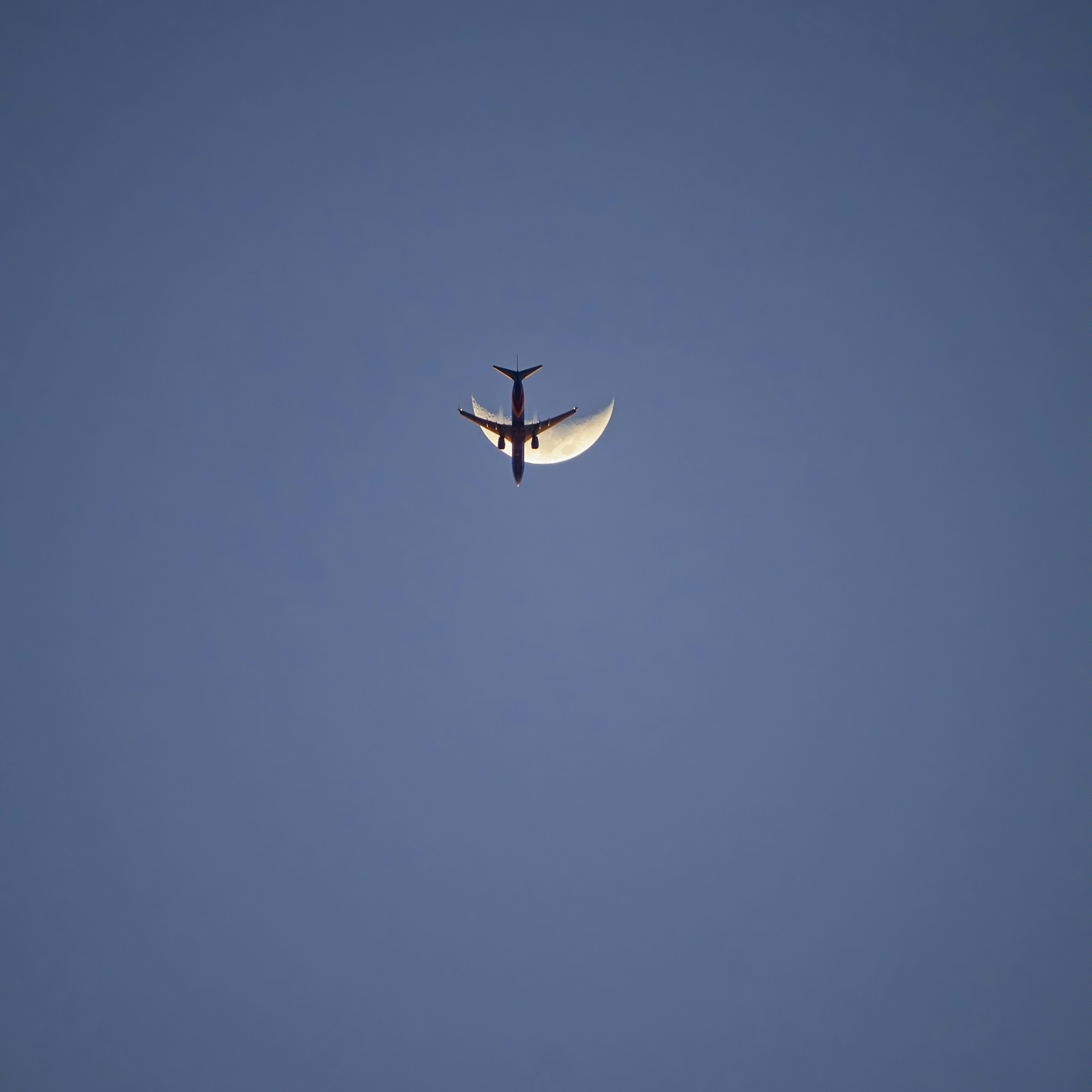 Moonlit Approach: A Plane Crossing the Crescent