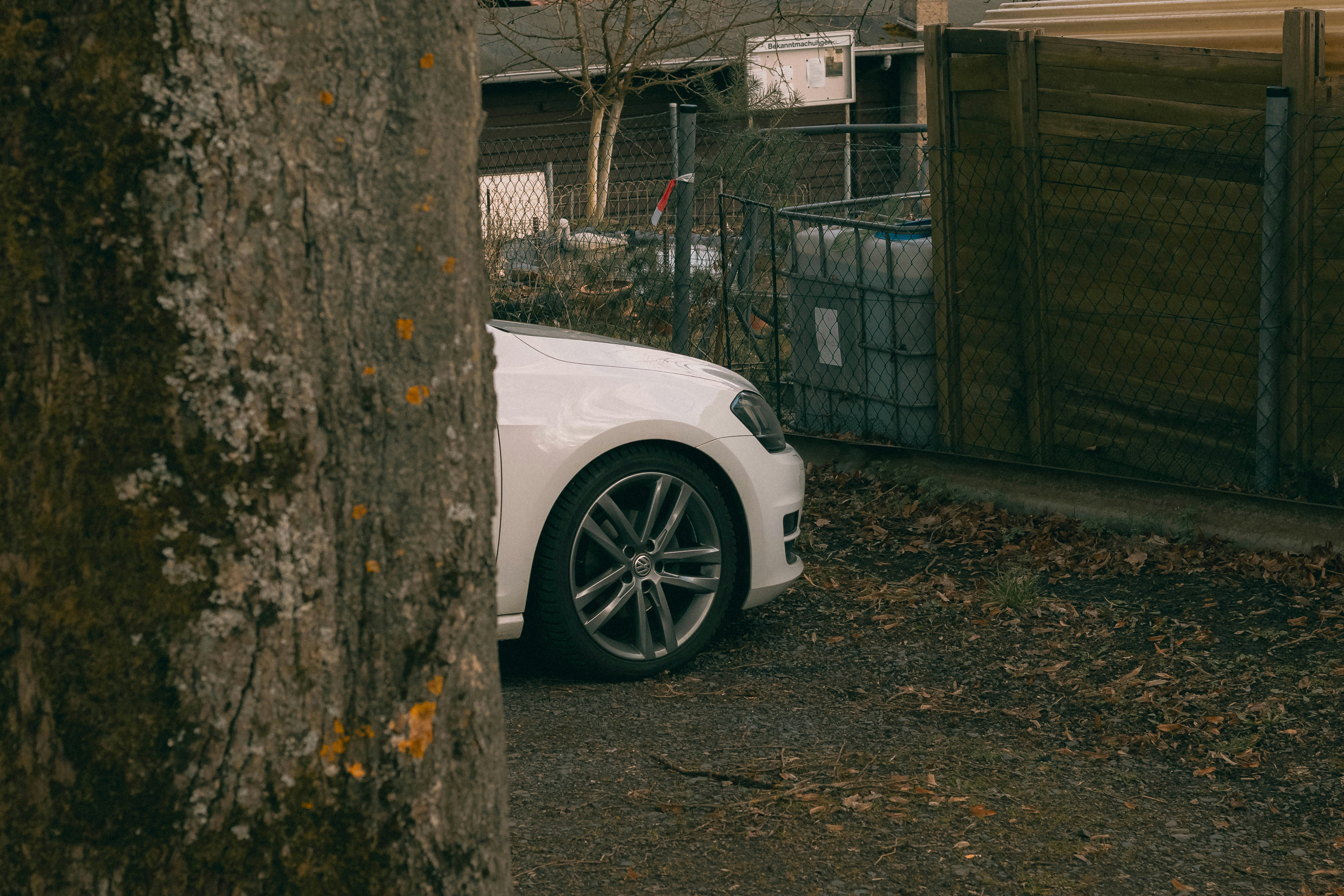 Hidden Silver Line: A White Car Hidden Behind a Tree