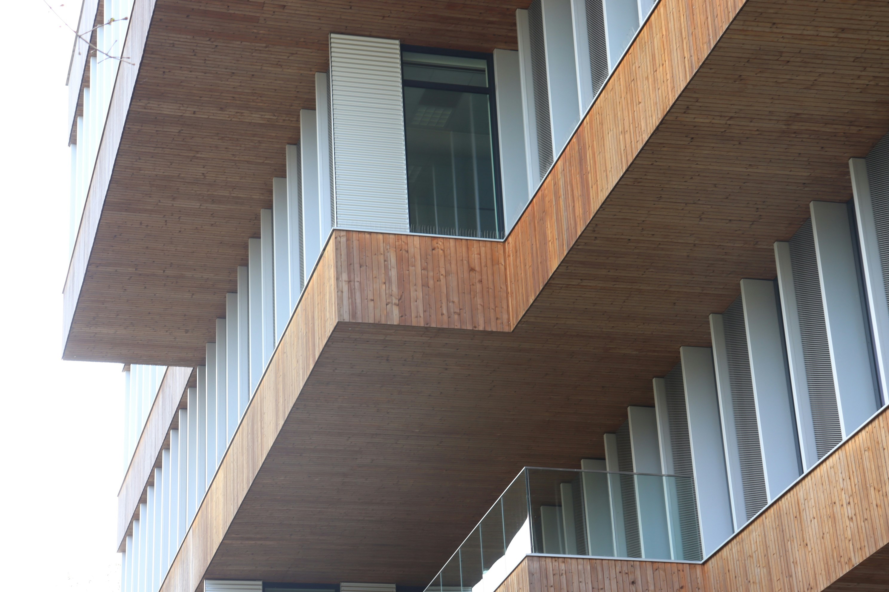 Cantilevered Timber and Glass: A Portrait of Modern Facade Geometry