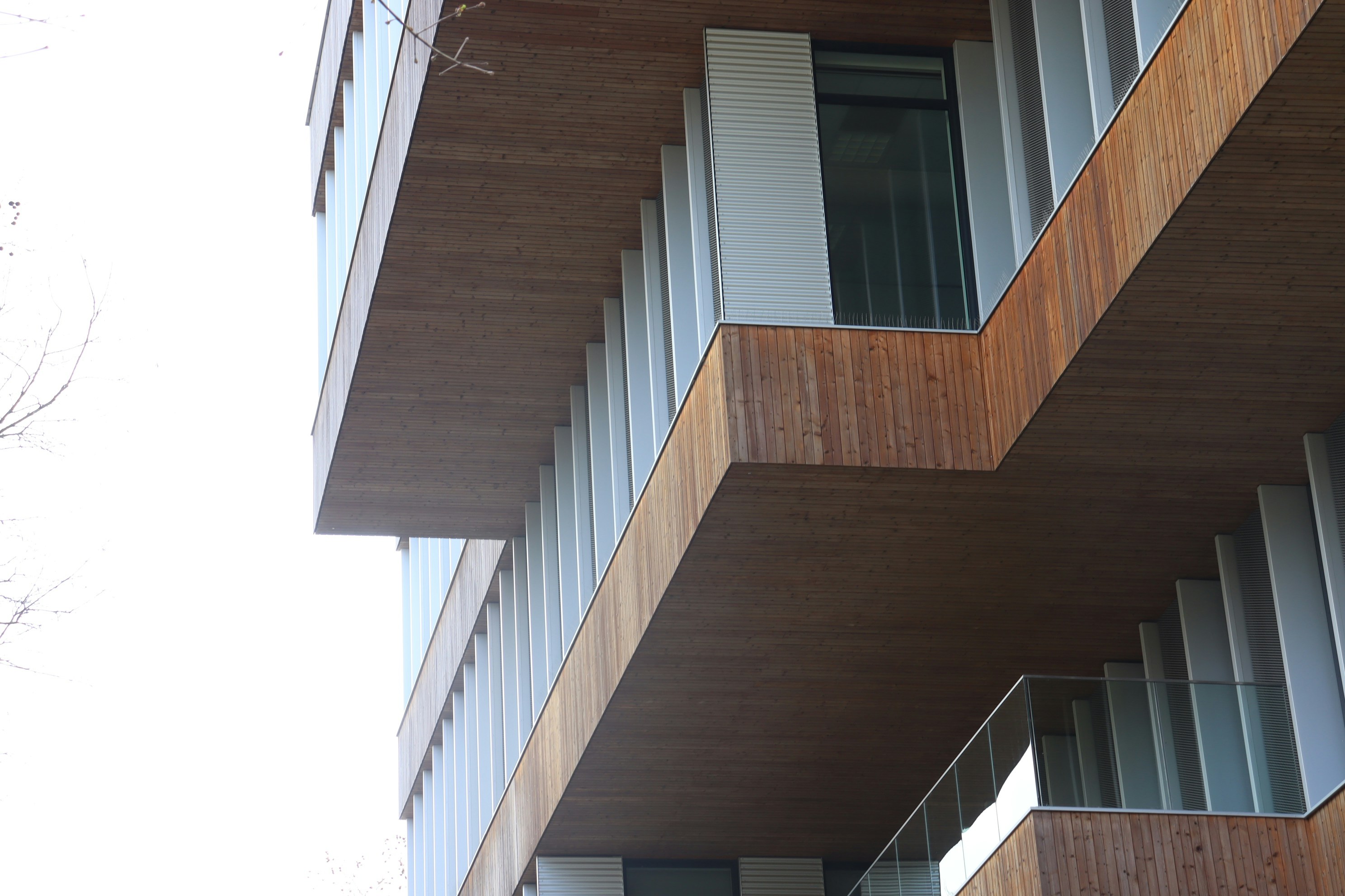 Balconies in Cedar: A Modern Limestone of Wood and Glass