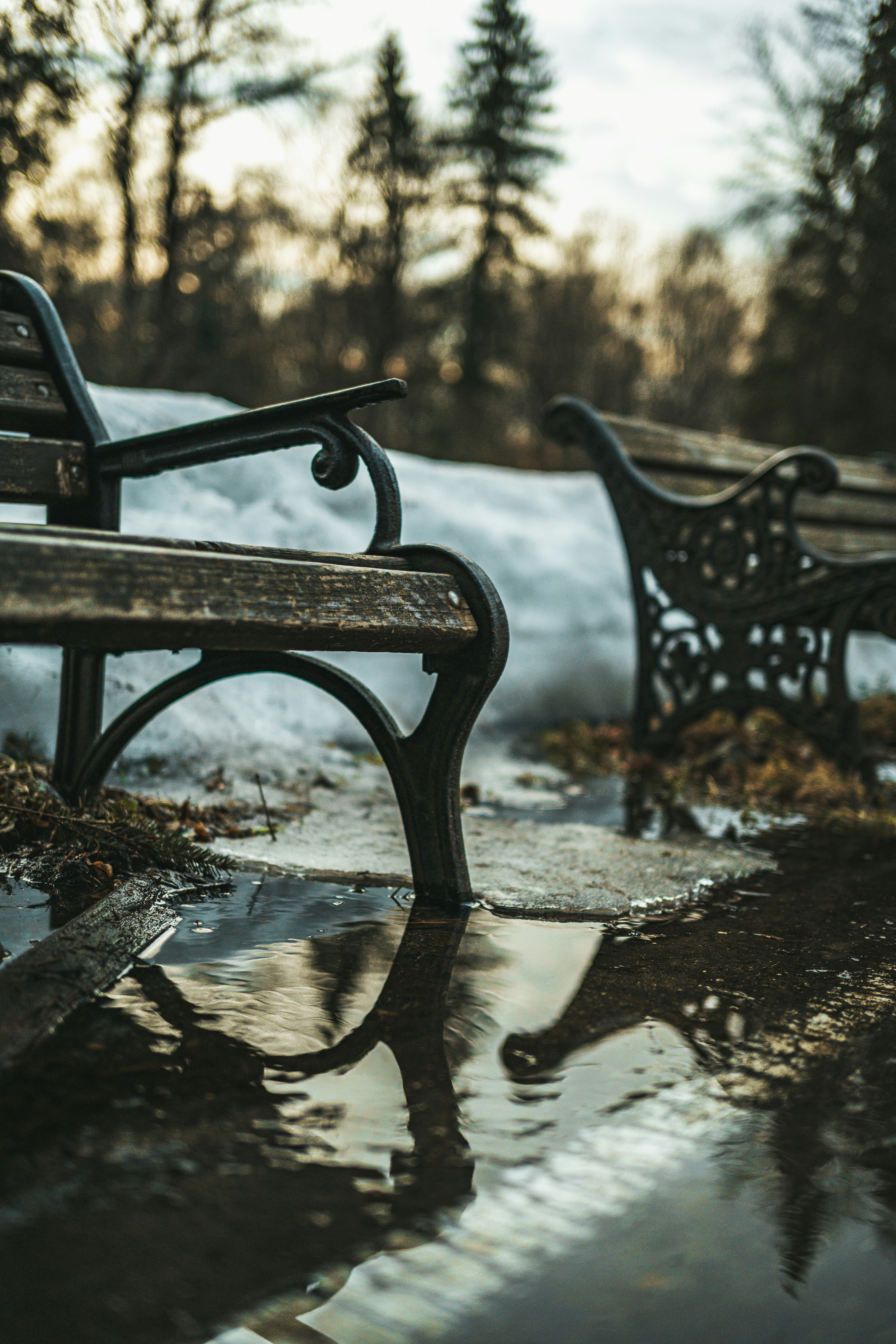 Echoes of Winter by the Park Bench