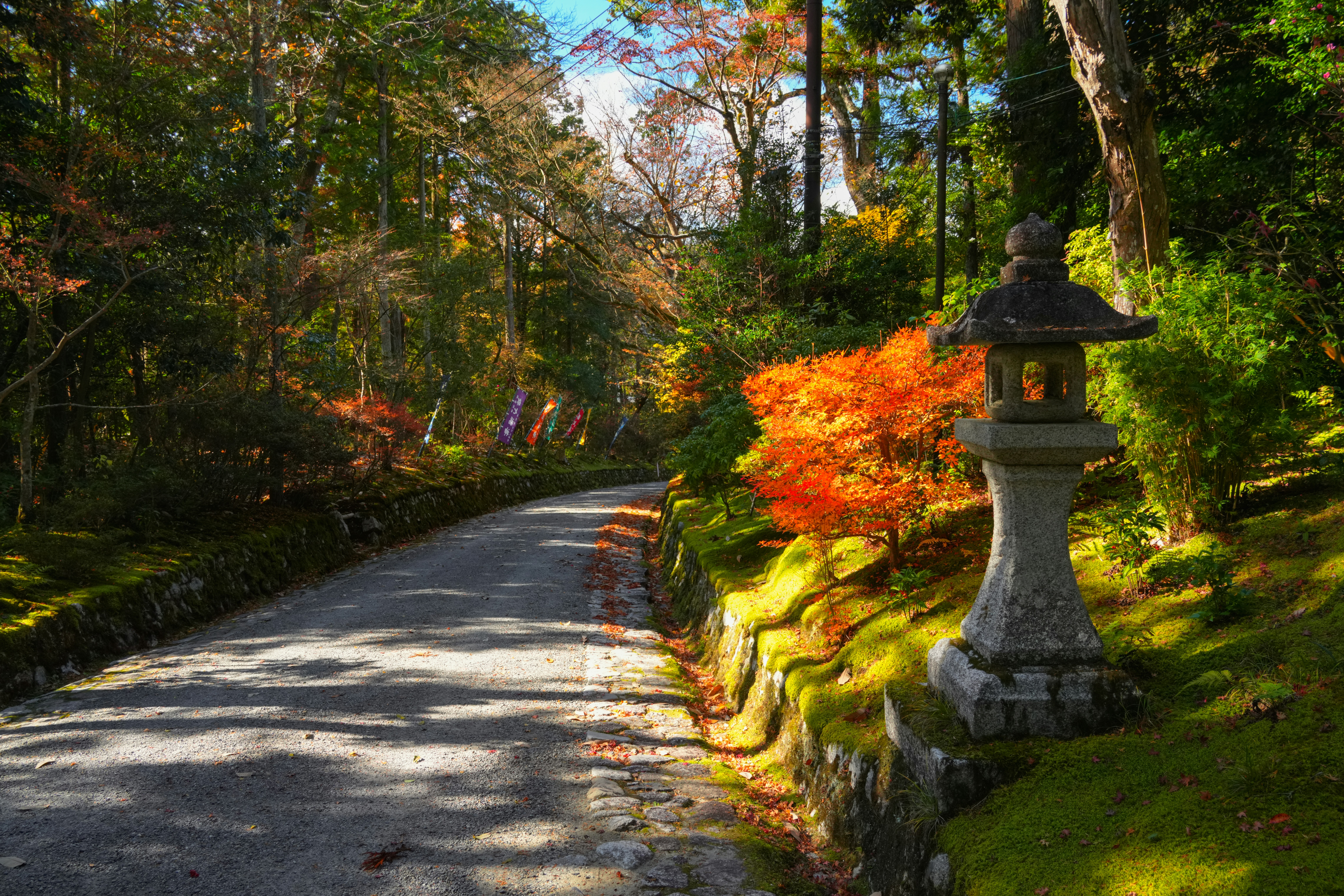 Autumn Lantern Pathway